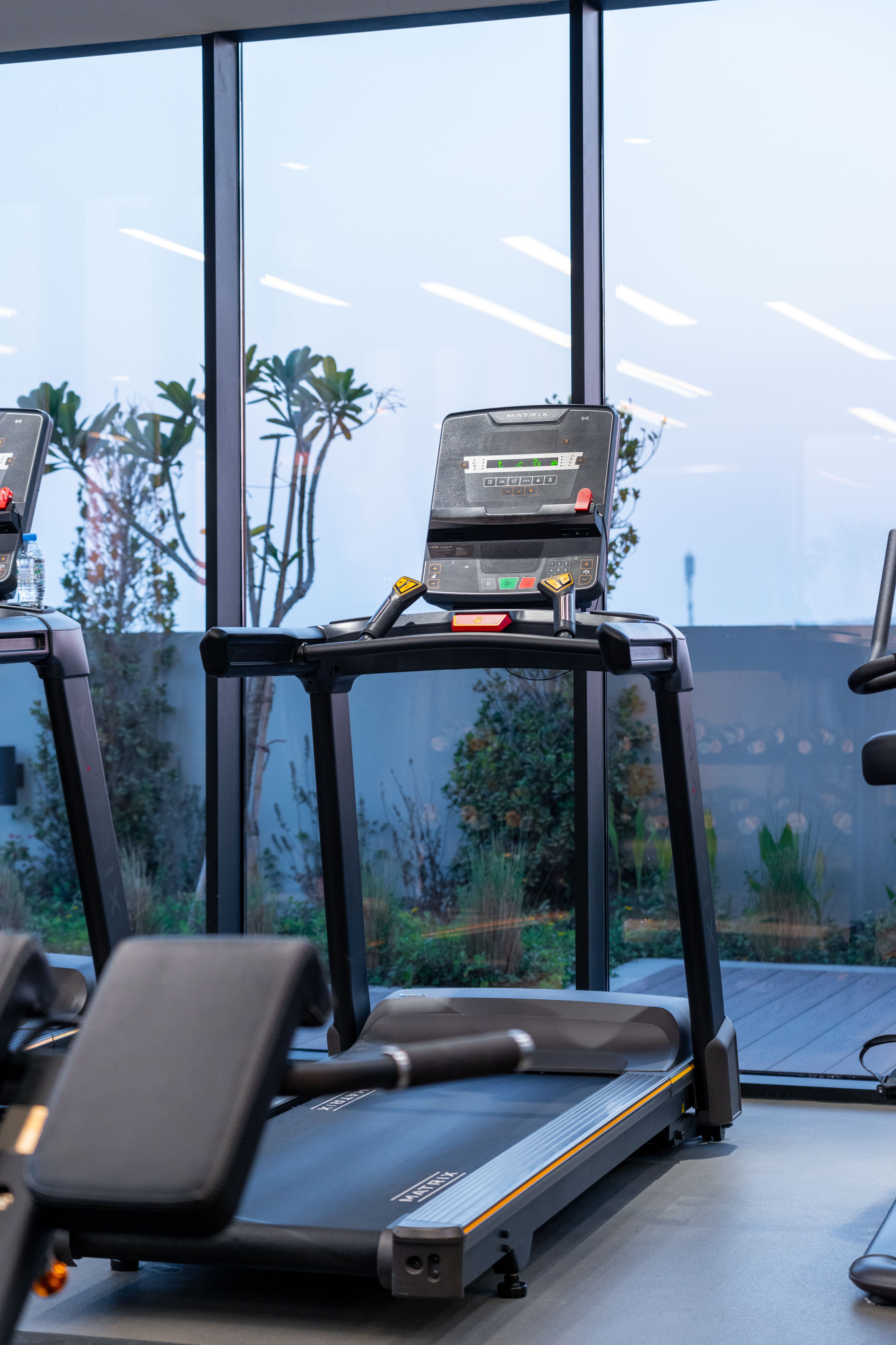An on Treadmill · Free Stock Photo