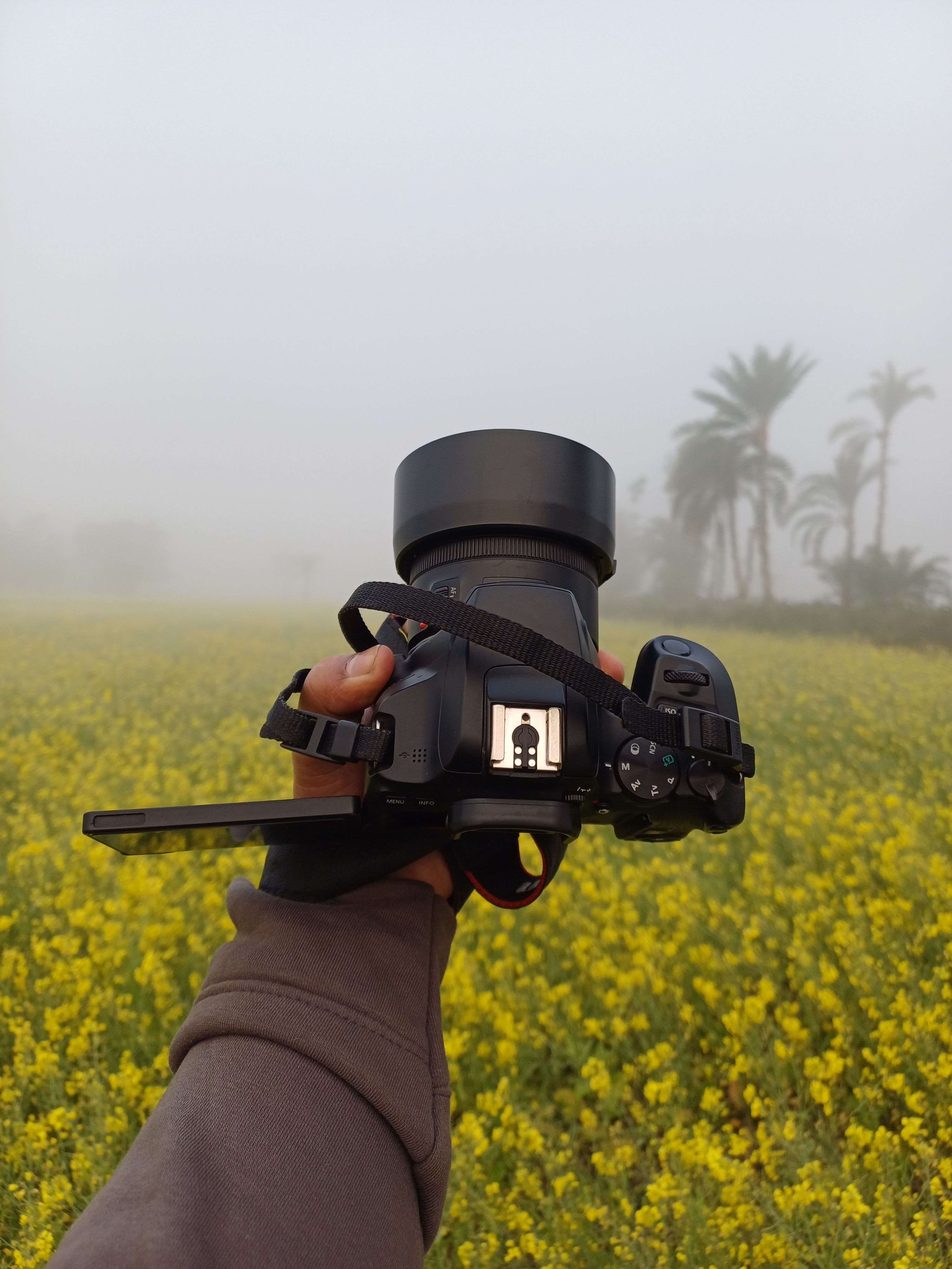 Aesthetic Capture Photos, Download The BEST Free Aesthetic Capture ...