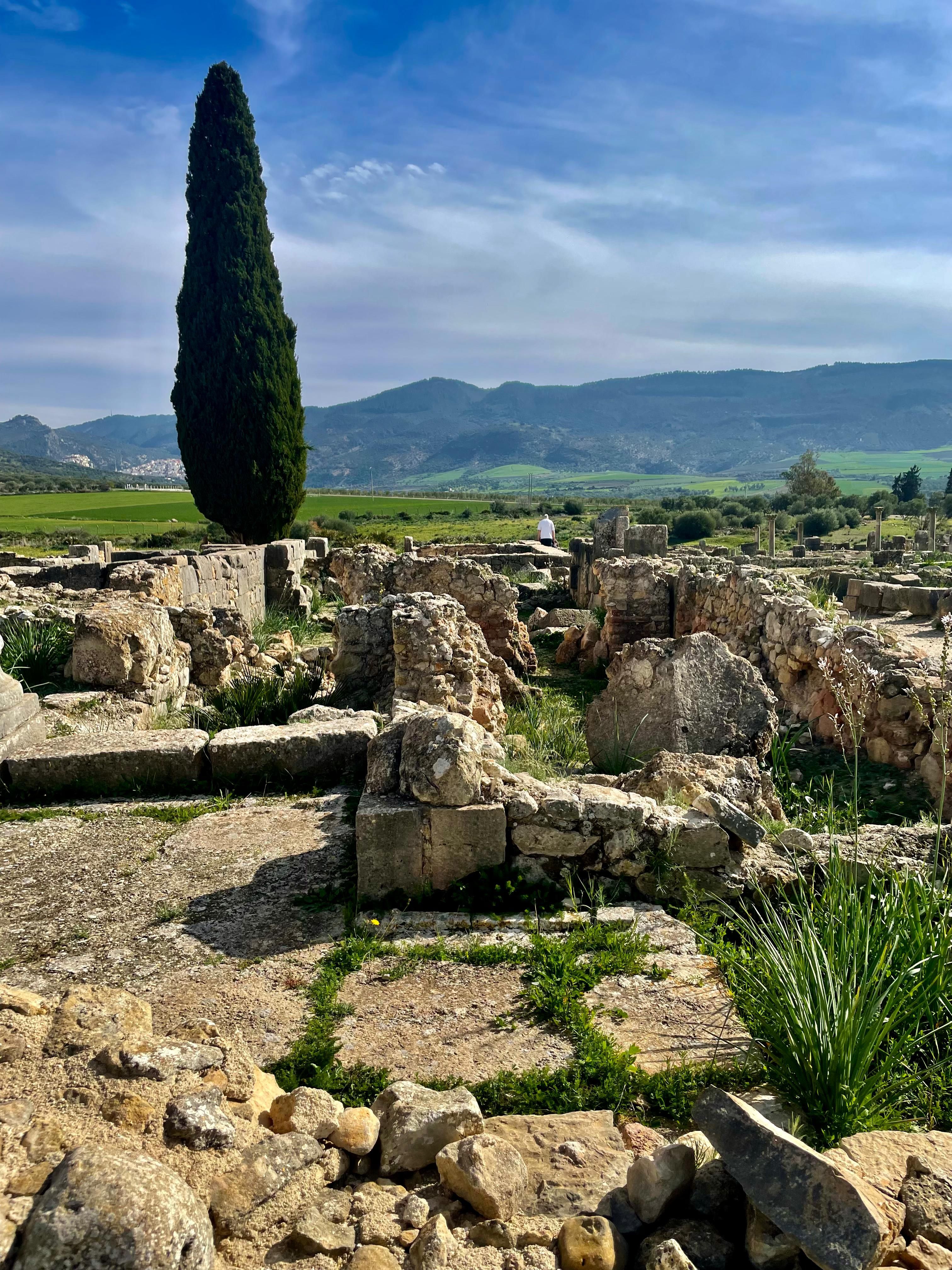 Ancient Roman Ruins with Lone Cypress Tree · Free Stock Photo