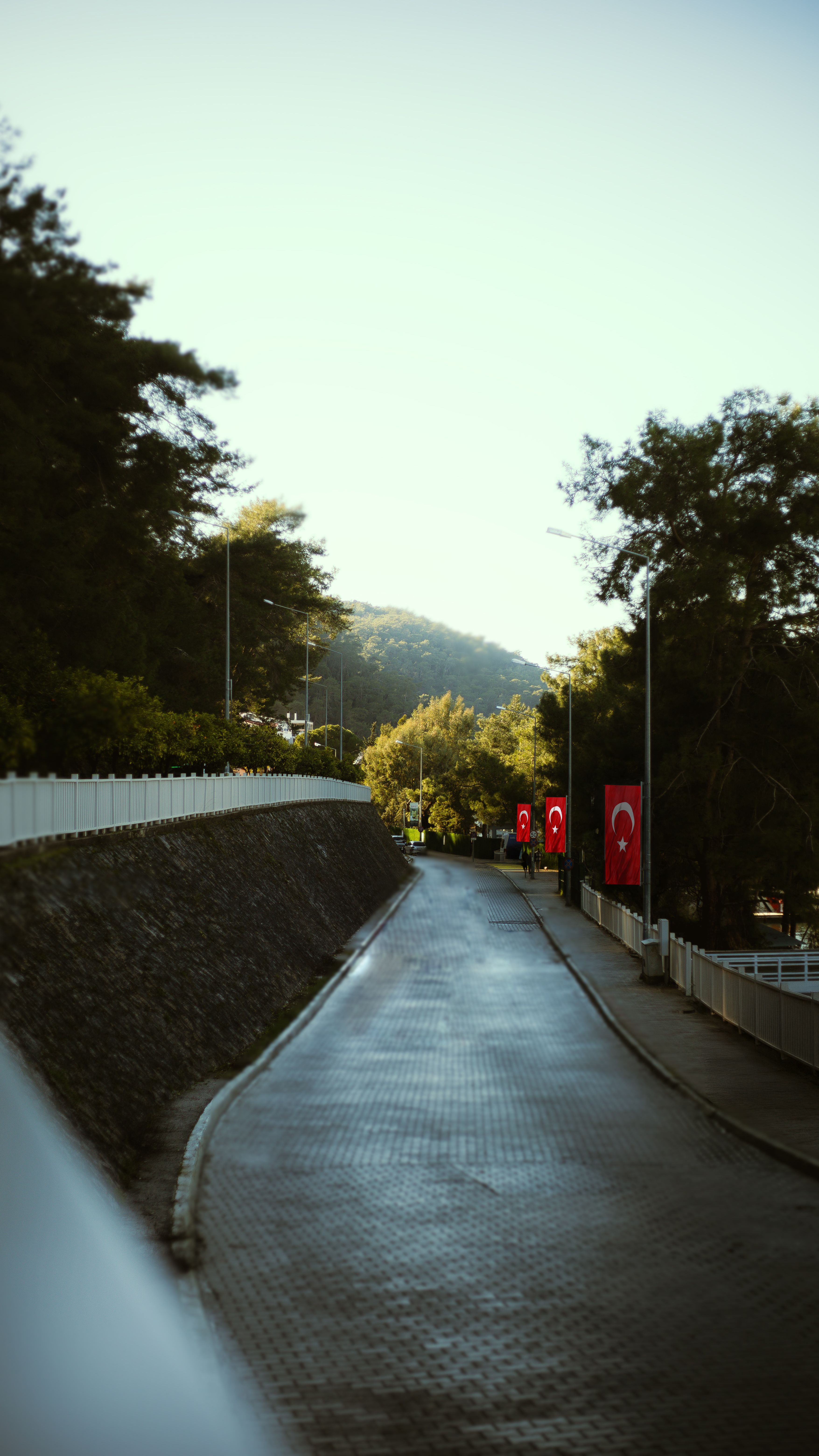 Scenic Road in Turkey with National Flags · Free Stock Photo