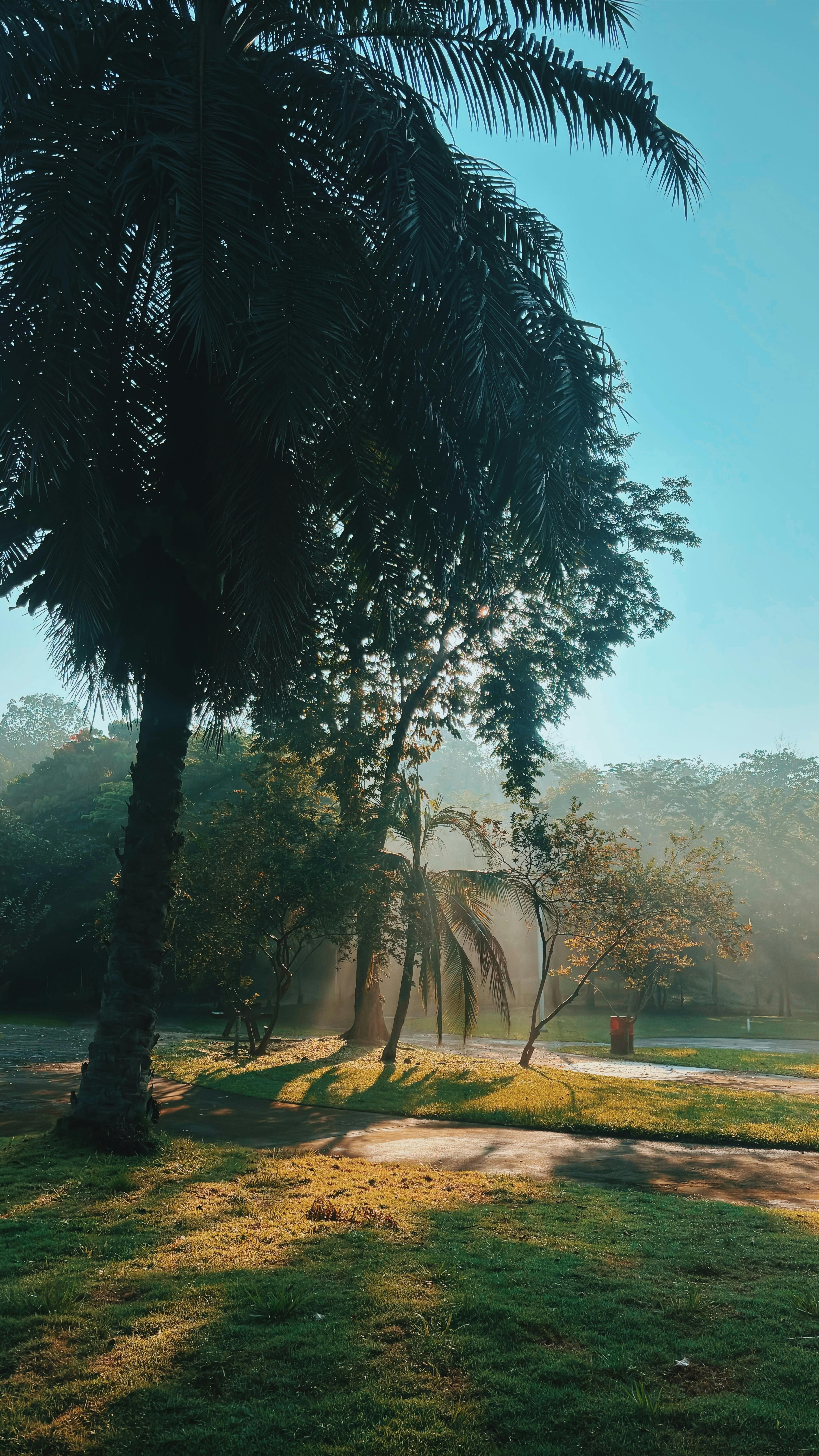 Sme Malaysia Photos, Download The BEST Free Sme Malaysia Stock Photos ...