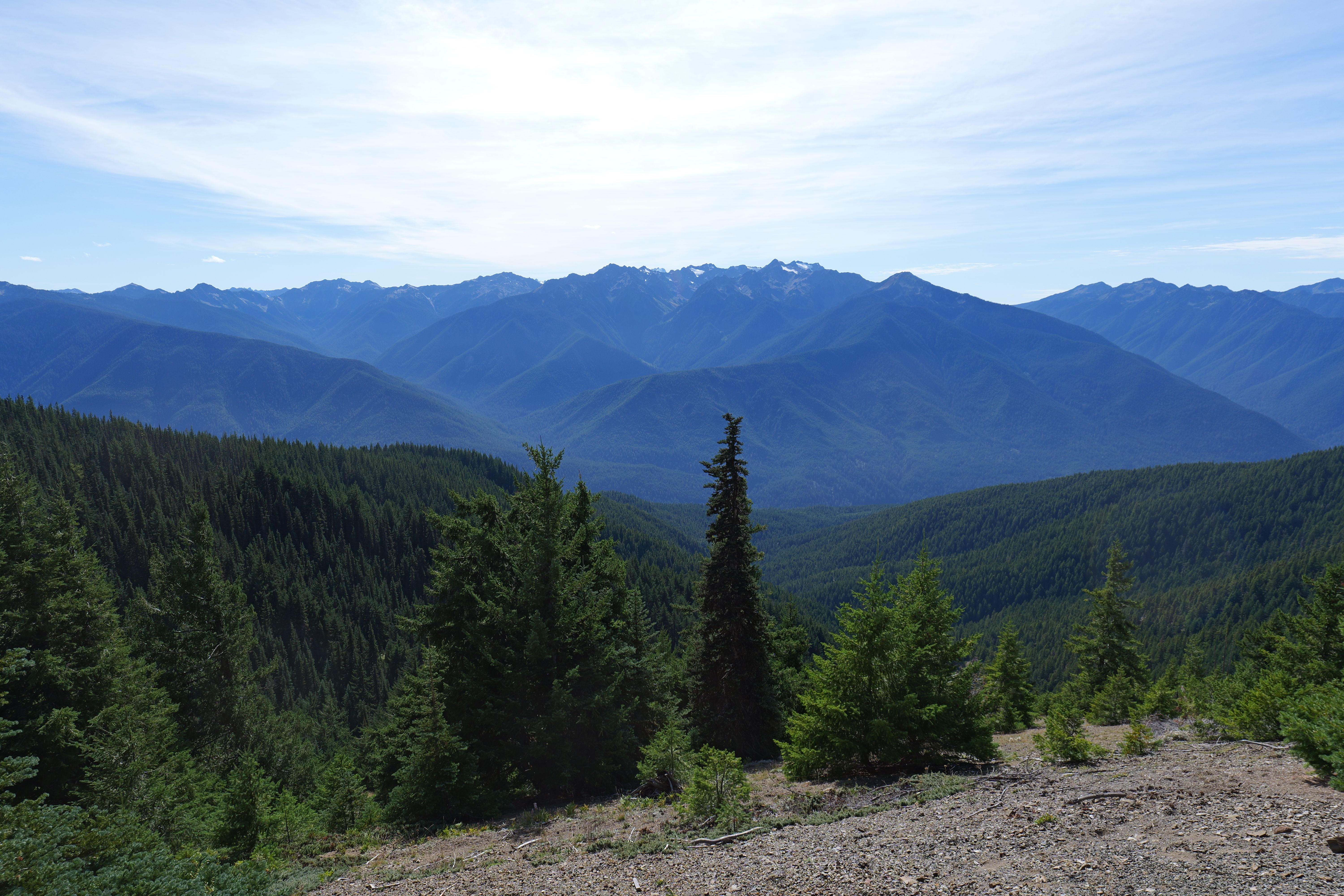 Scenic Mountain View with Lush Green Forest · Free Stock Photo