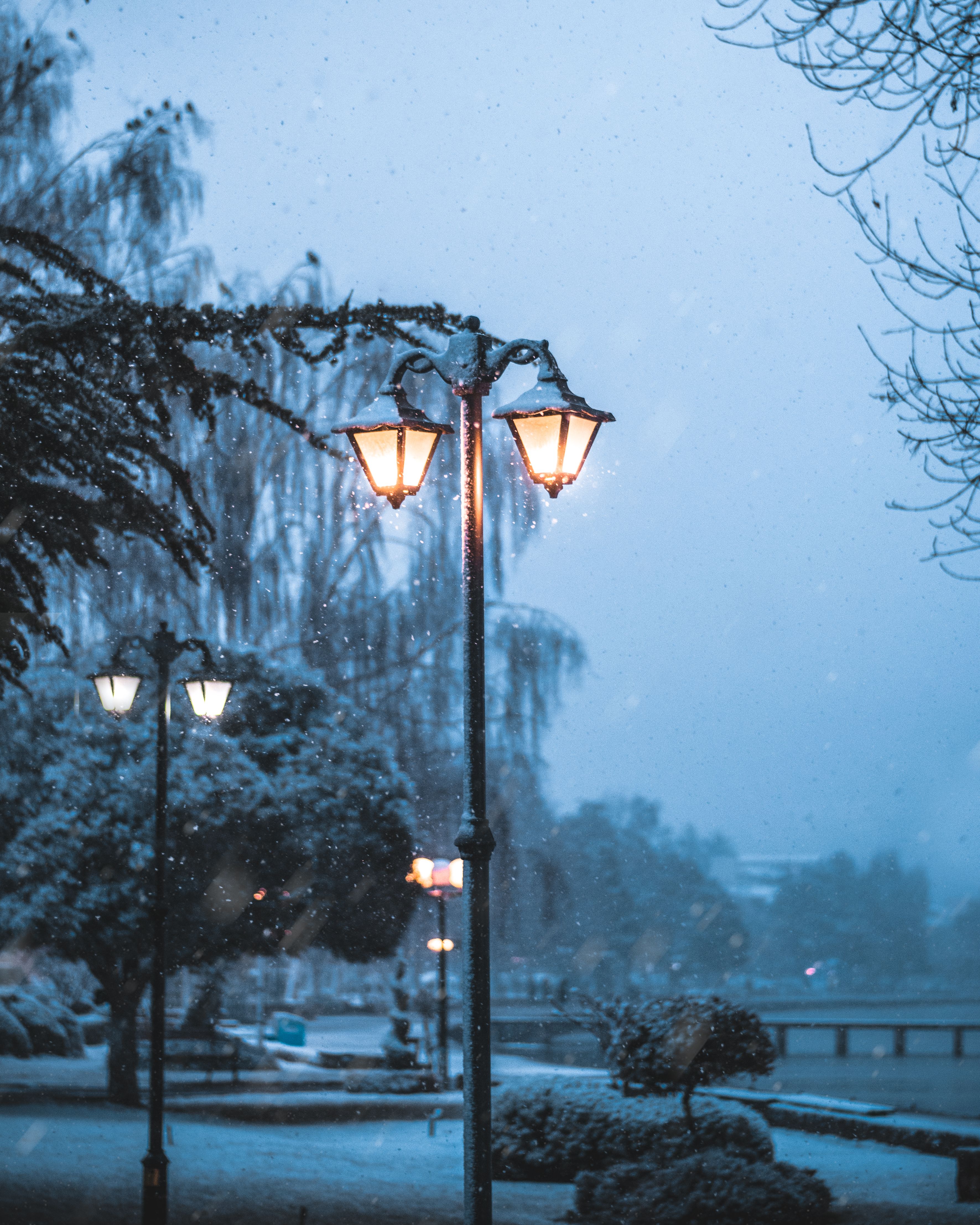 Serene Winter Evening in Ohrid with Snowfall · Free Stock Photo