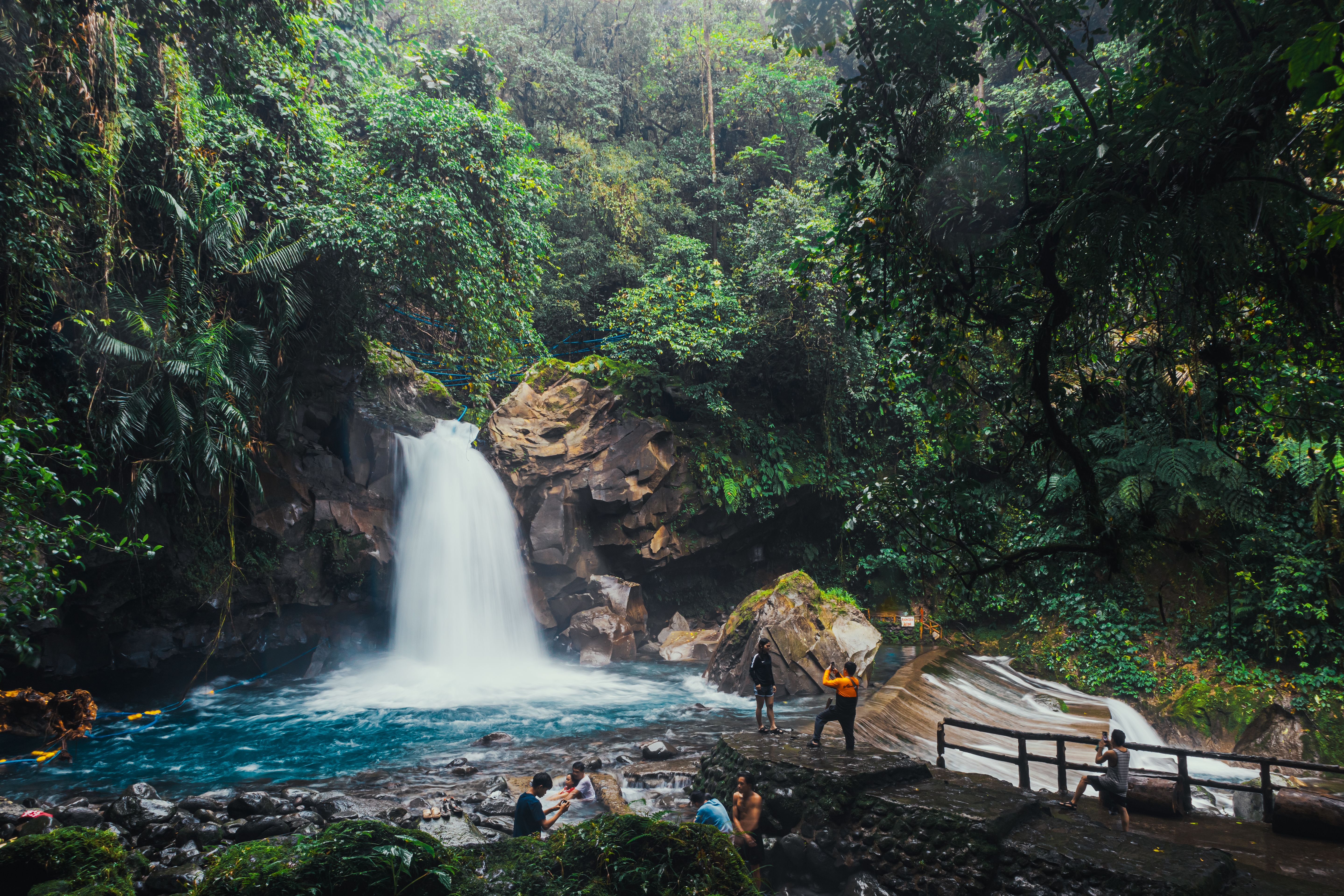 Casio De La Jungle Photos, Download The BEST Free Casio De La Jungle ...