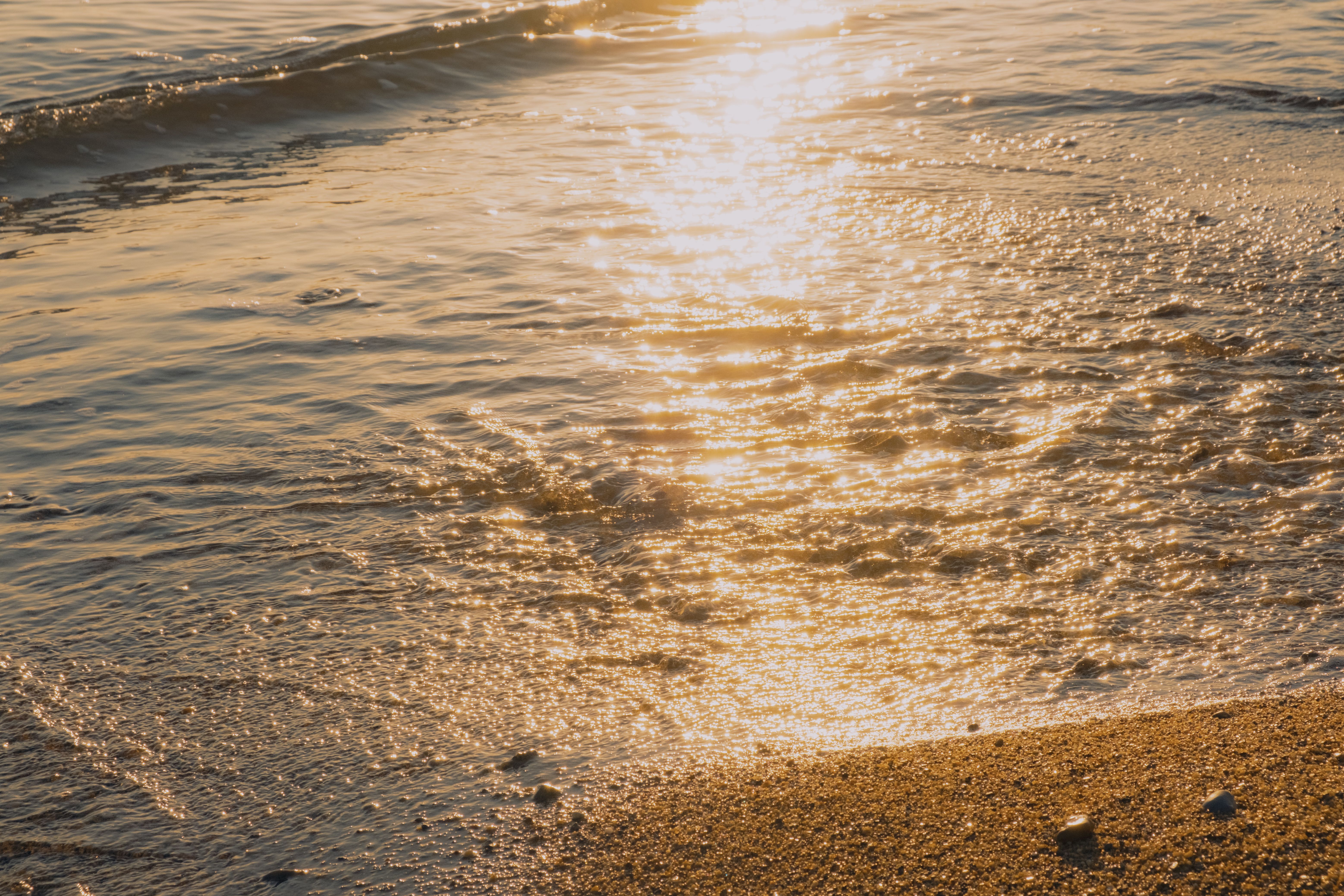 Golden Sunset Reflections on a Sandy Beach · Free Stock Photo
