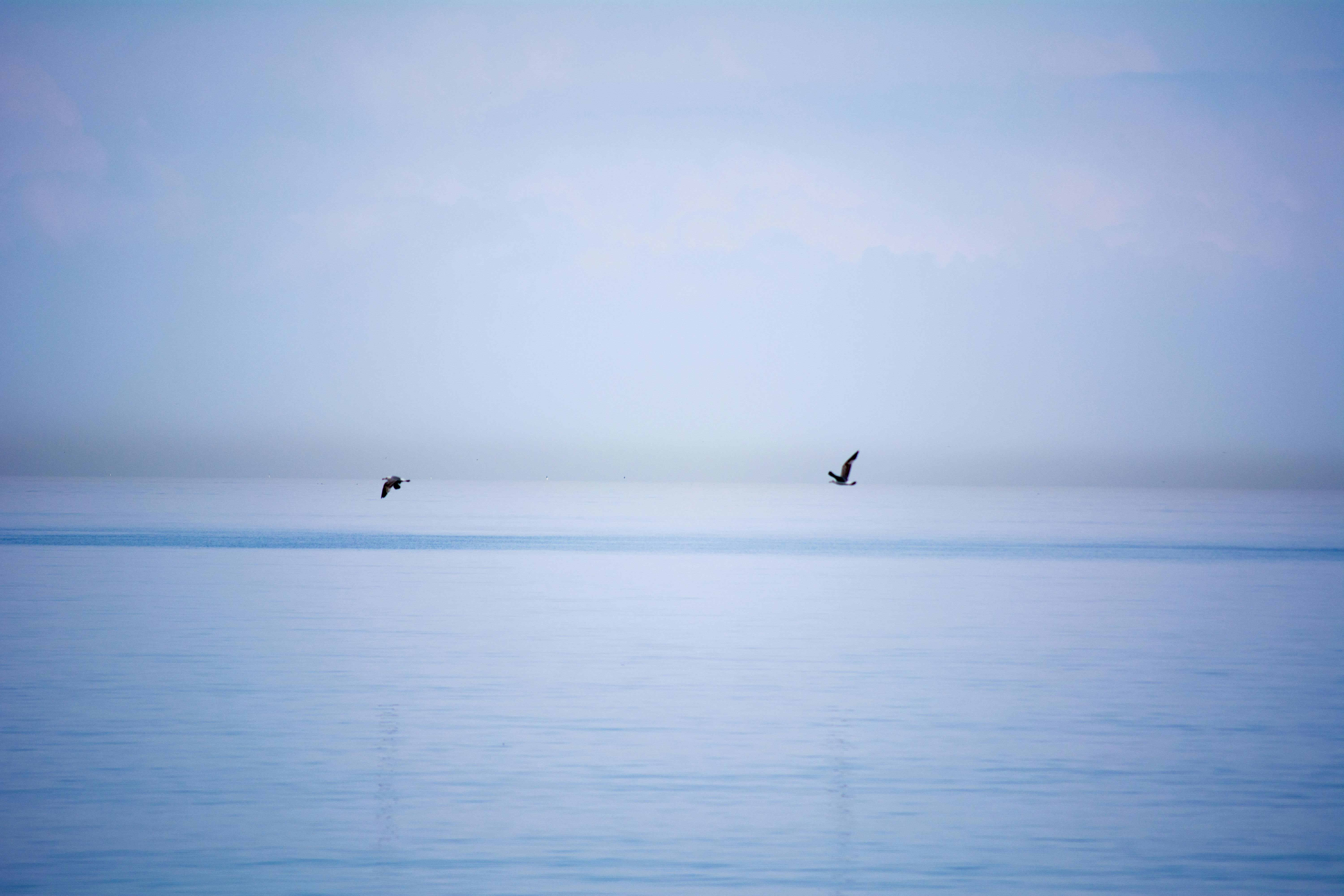 Brooding Sea Photos, Download The BEST Free Brooding Sea Stock Photos ...
