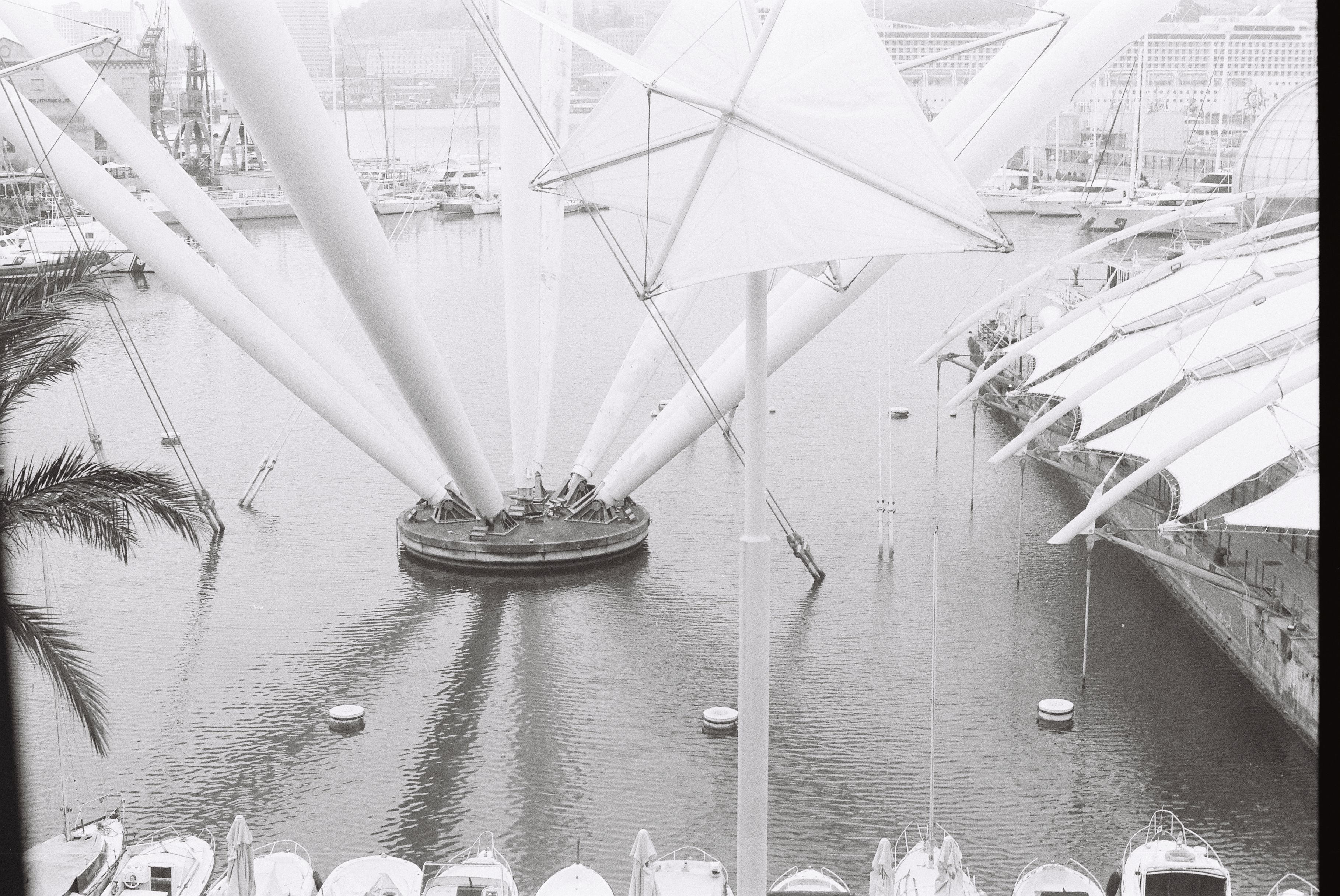 Aerial View of Docked Boats and Waterfront Structure · Free Stock Photo