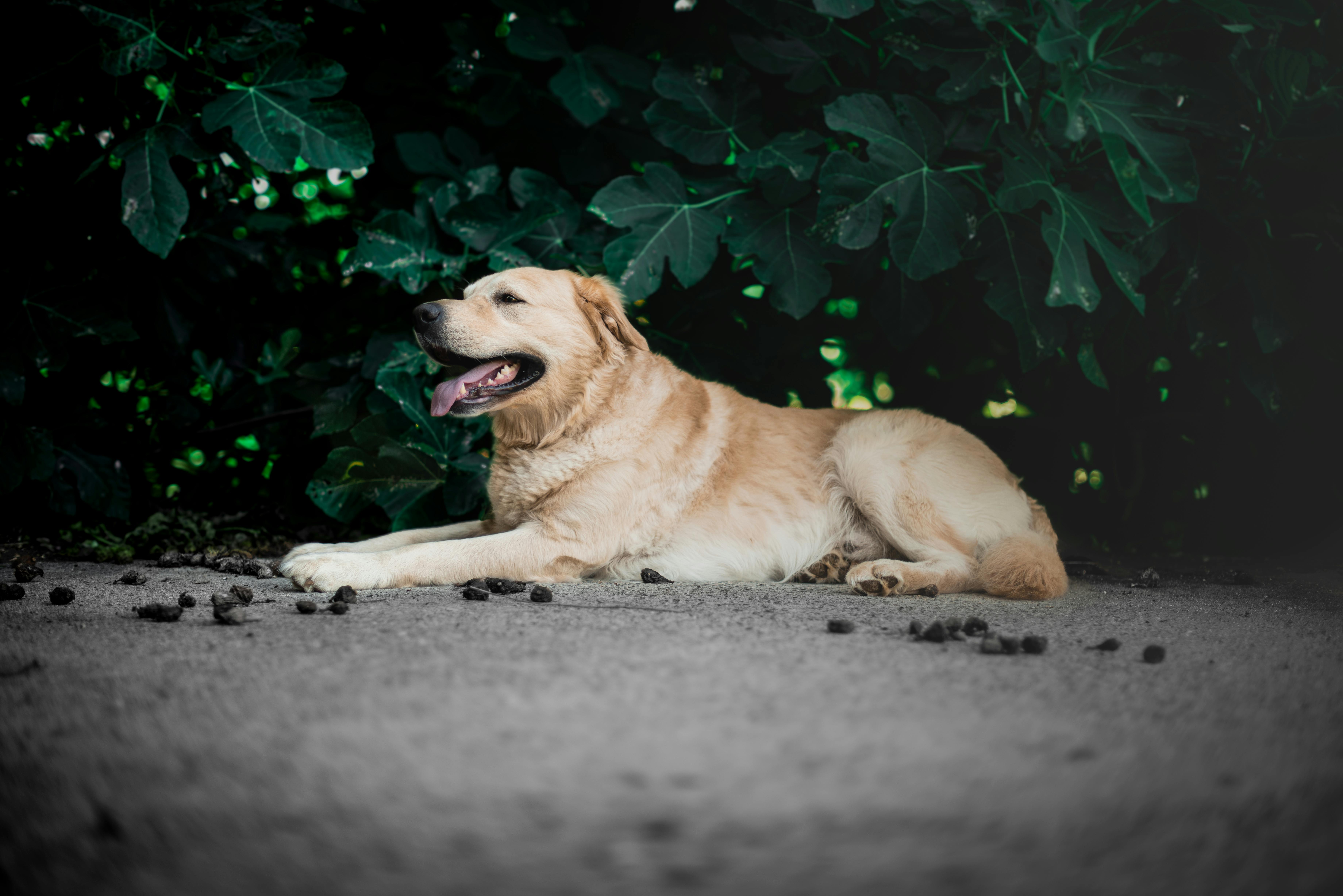 Relaxation And Rest Photos, Download The BEST Free Relaxation And Rest ...