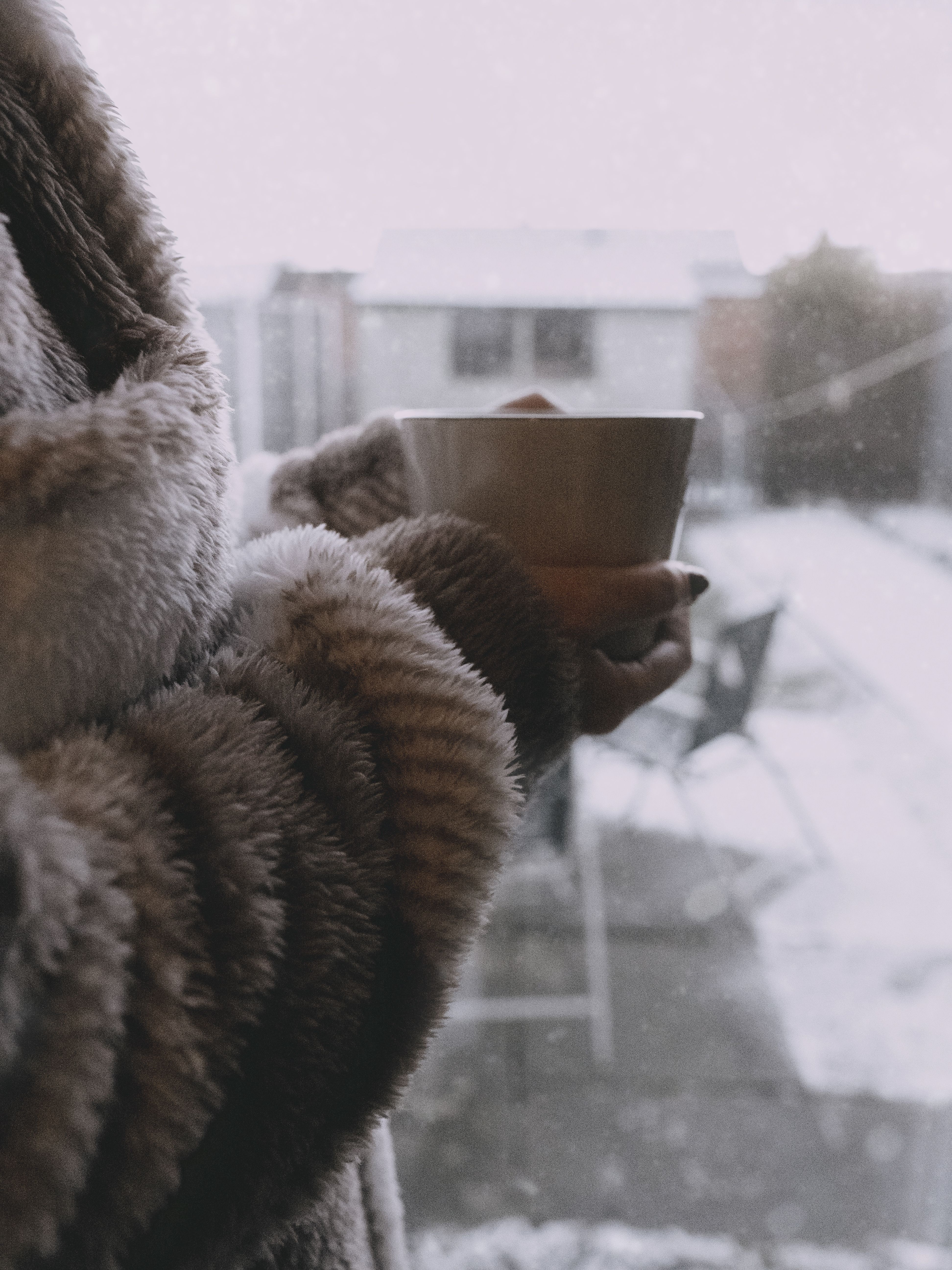 Cozy Winter Morning with Warm Coffee Indoors · Free Stock Photo