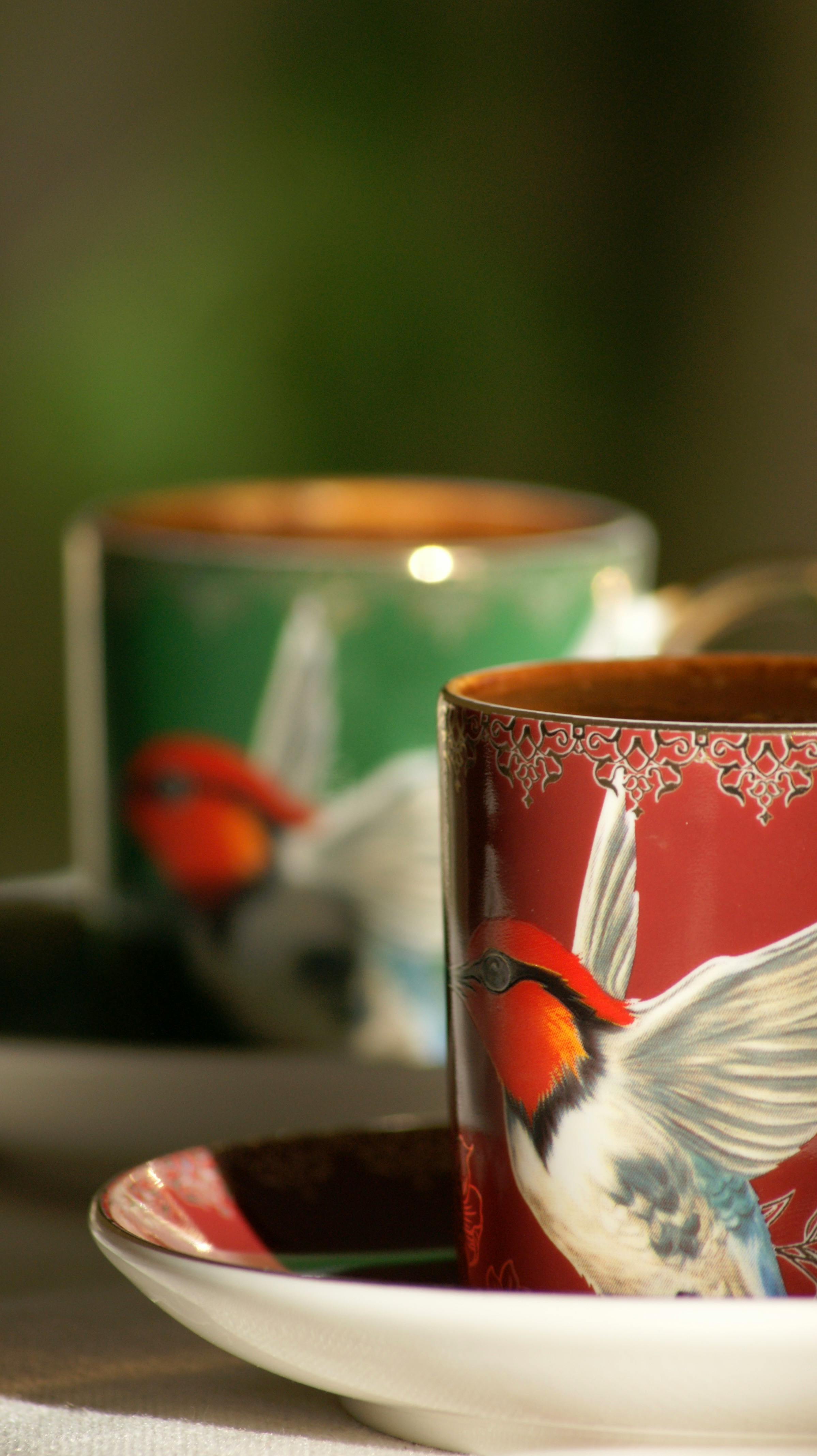 Colorful Bird Mugs with Sunlit Background · Free Stock Photo