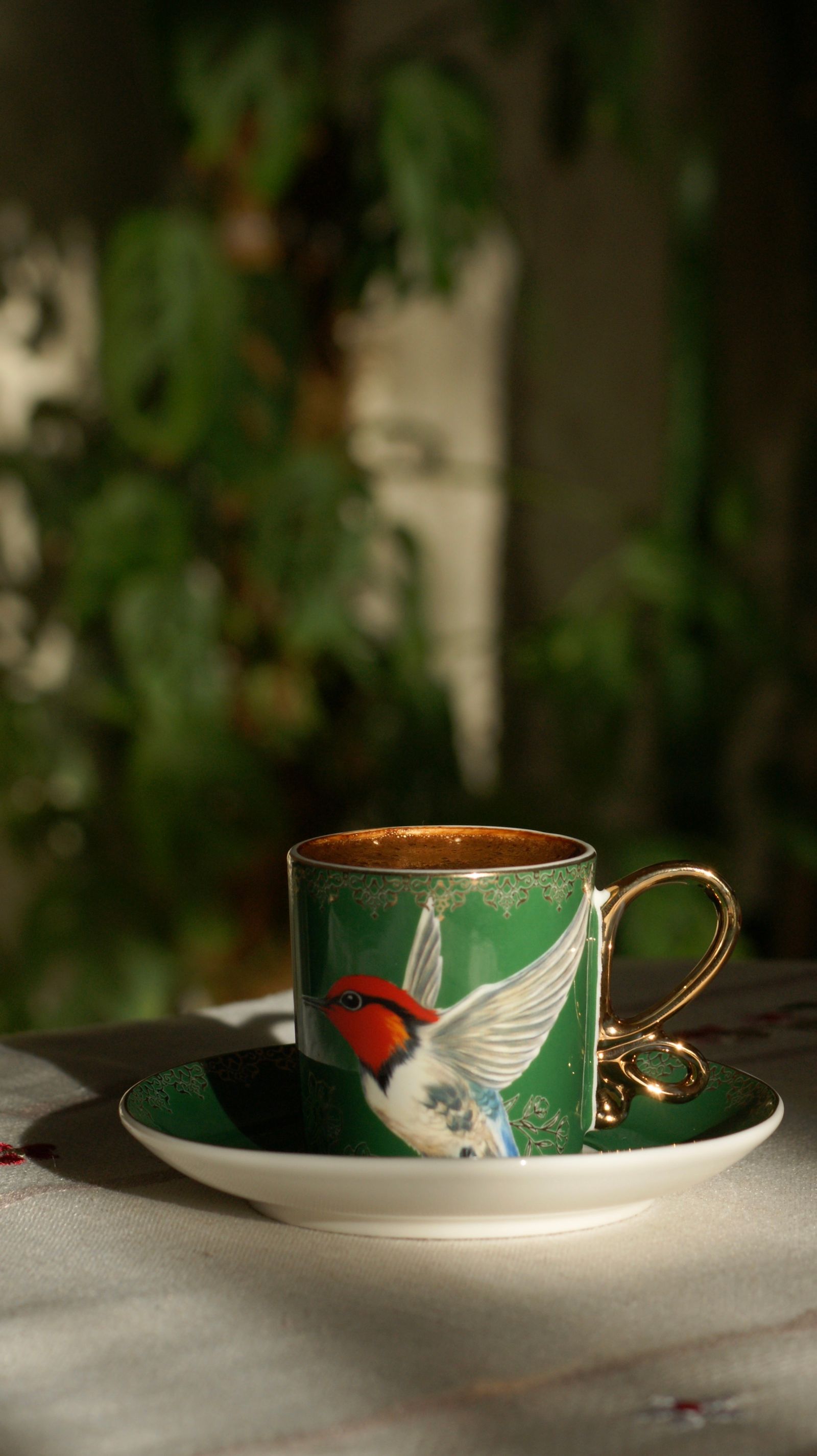 Teacup Photos, Download The BEST Free Teacup Stock Photos & HD Images
