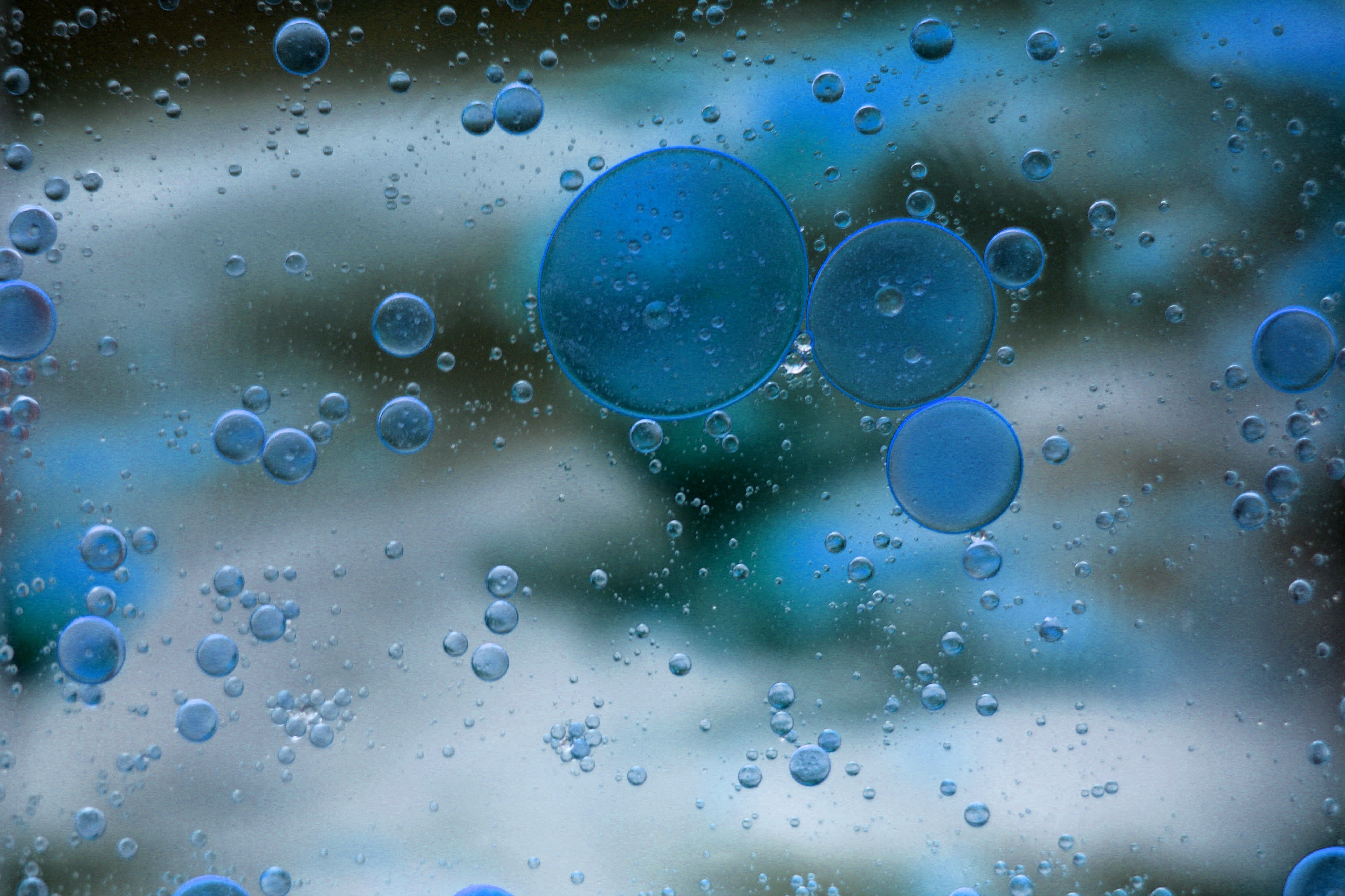 Abstract Blue Bubbles in Liquid Art · Free Stock Photo