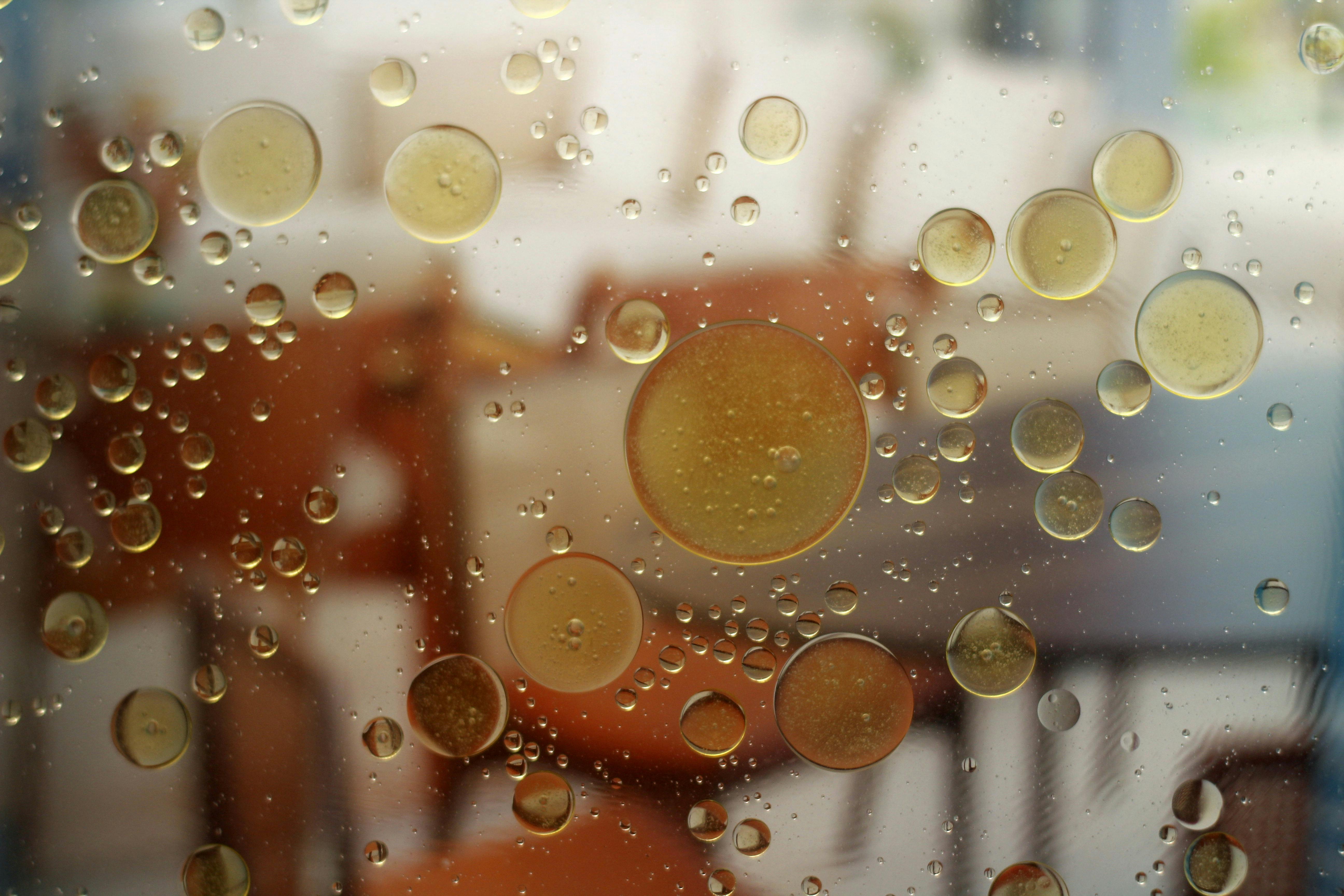 Science Experiment Photos, Download The BEST Free Science Experiment ...