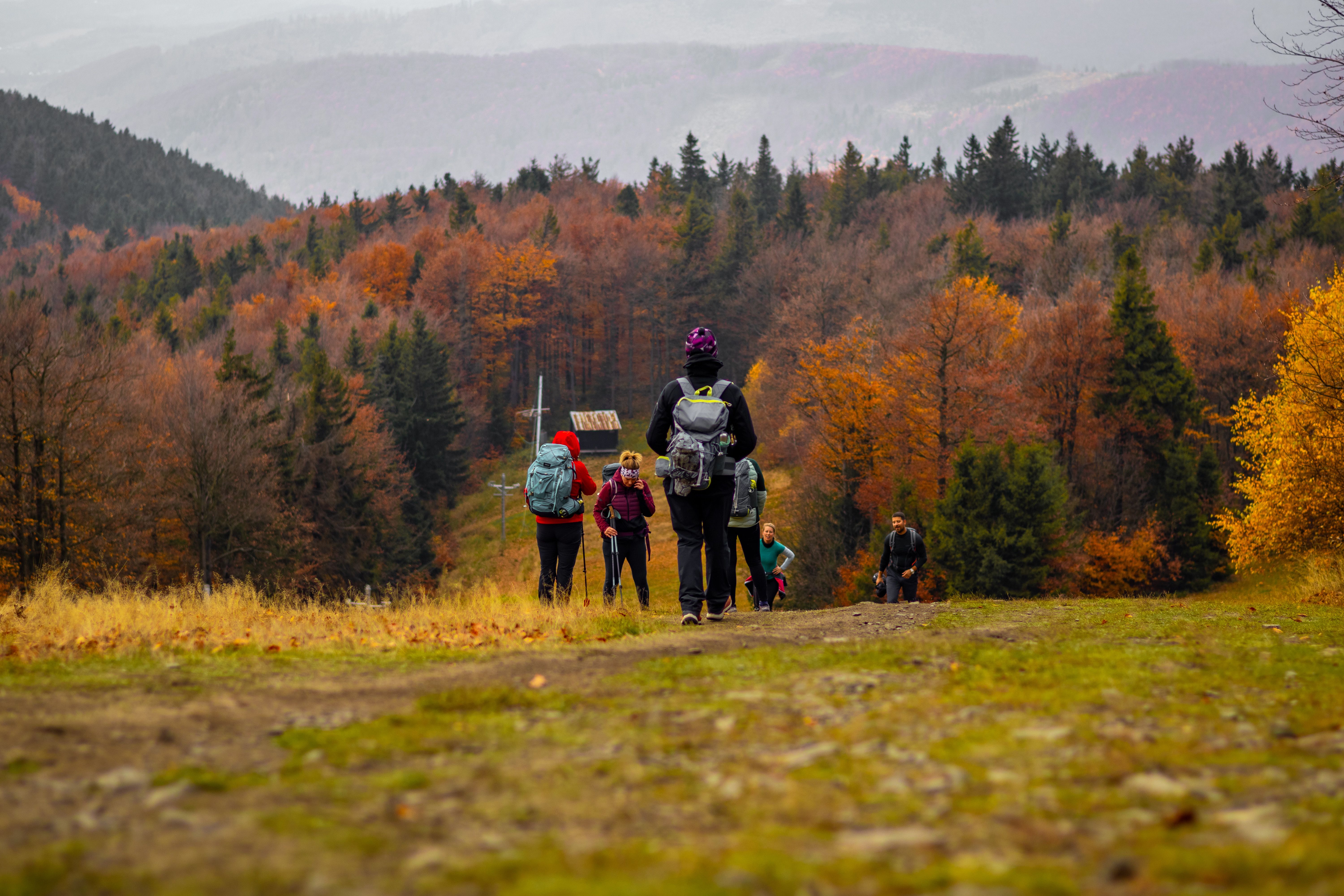 Group Hiking in Colorful Autumn Forest · Free Stock Photo