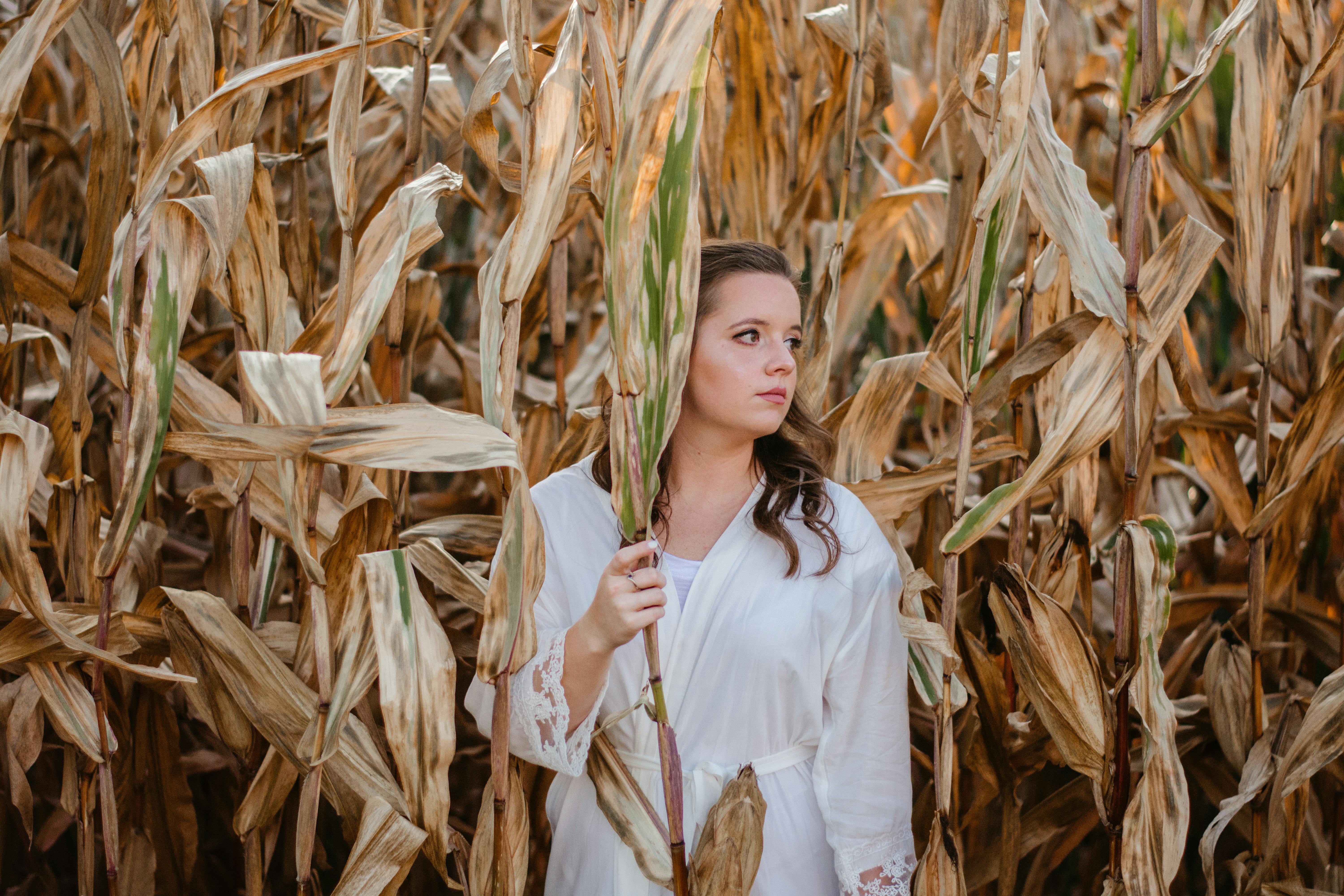 Woman Holding Corn on Cornfield · Free Stock Photo