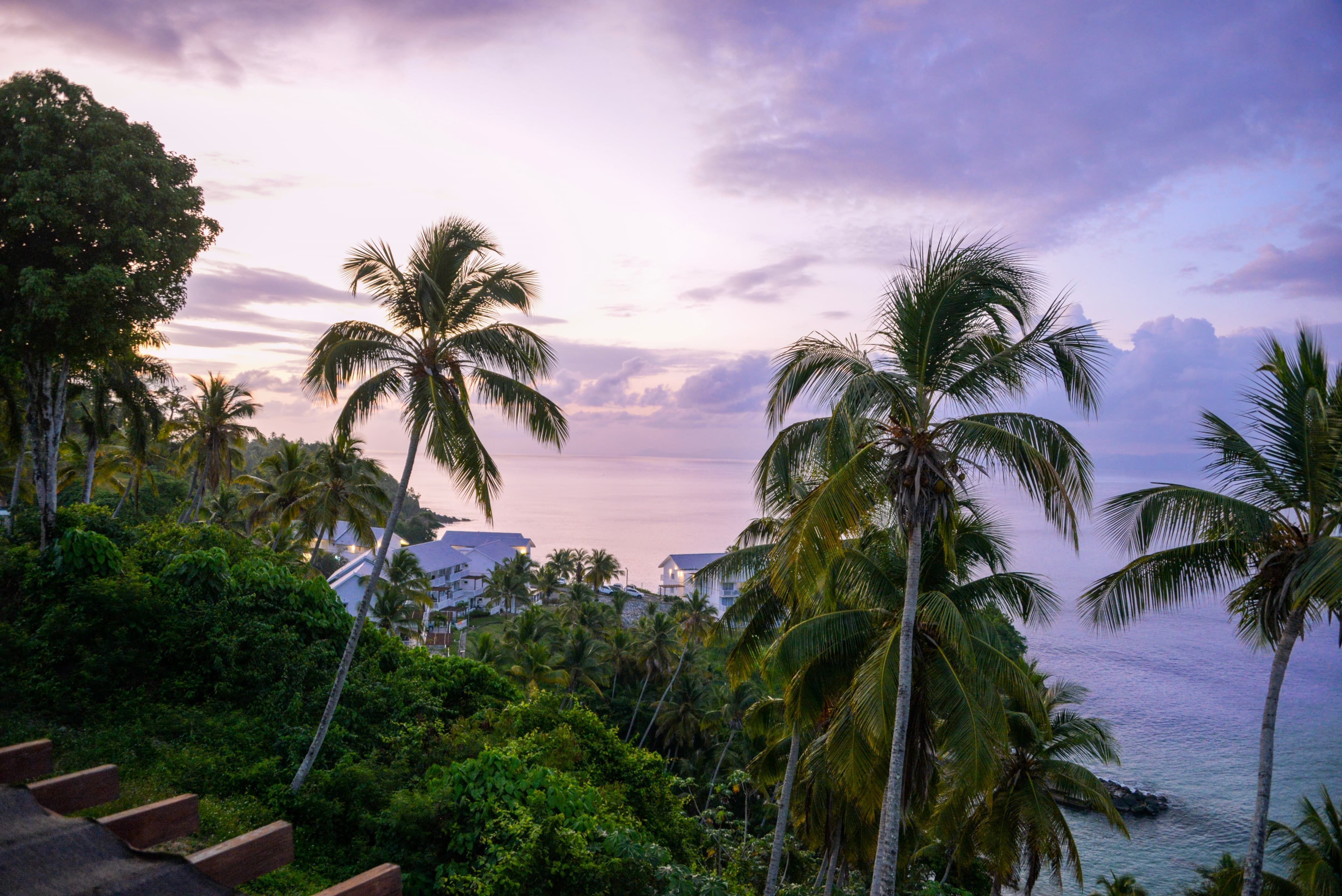 Tropical Beach View at Sunset in Samaná · Free Stock Photo