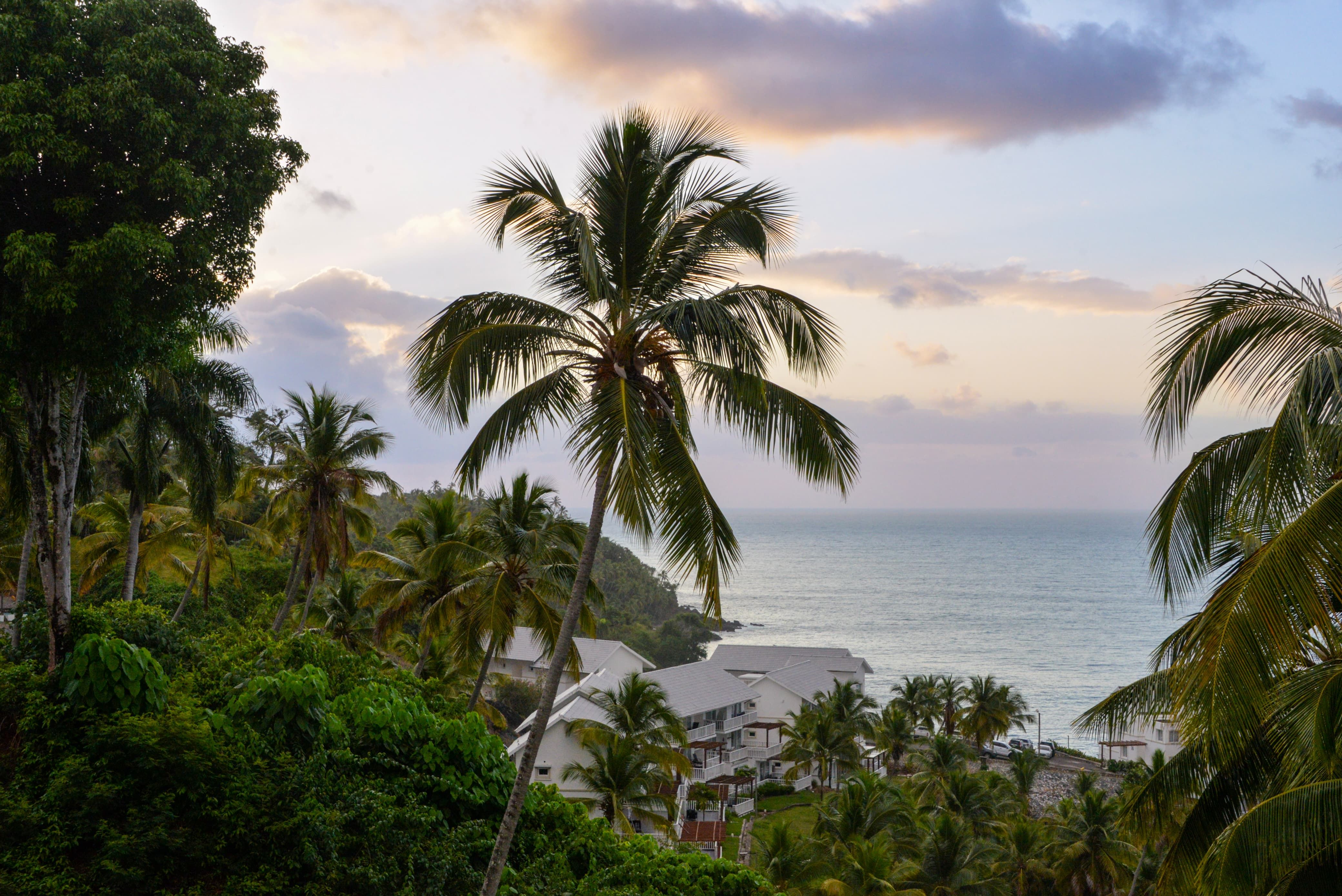 Tropical View of Samaná Coastline at Sunset · Free Stock Photo
