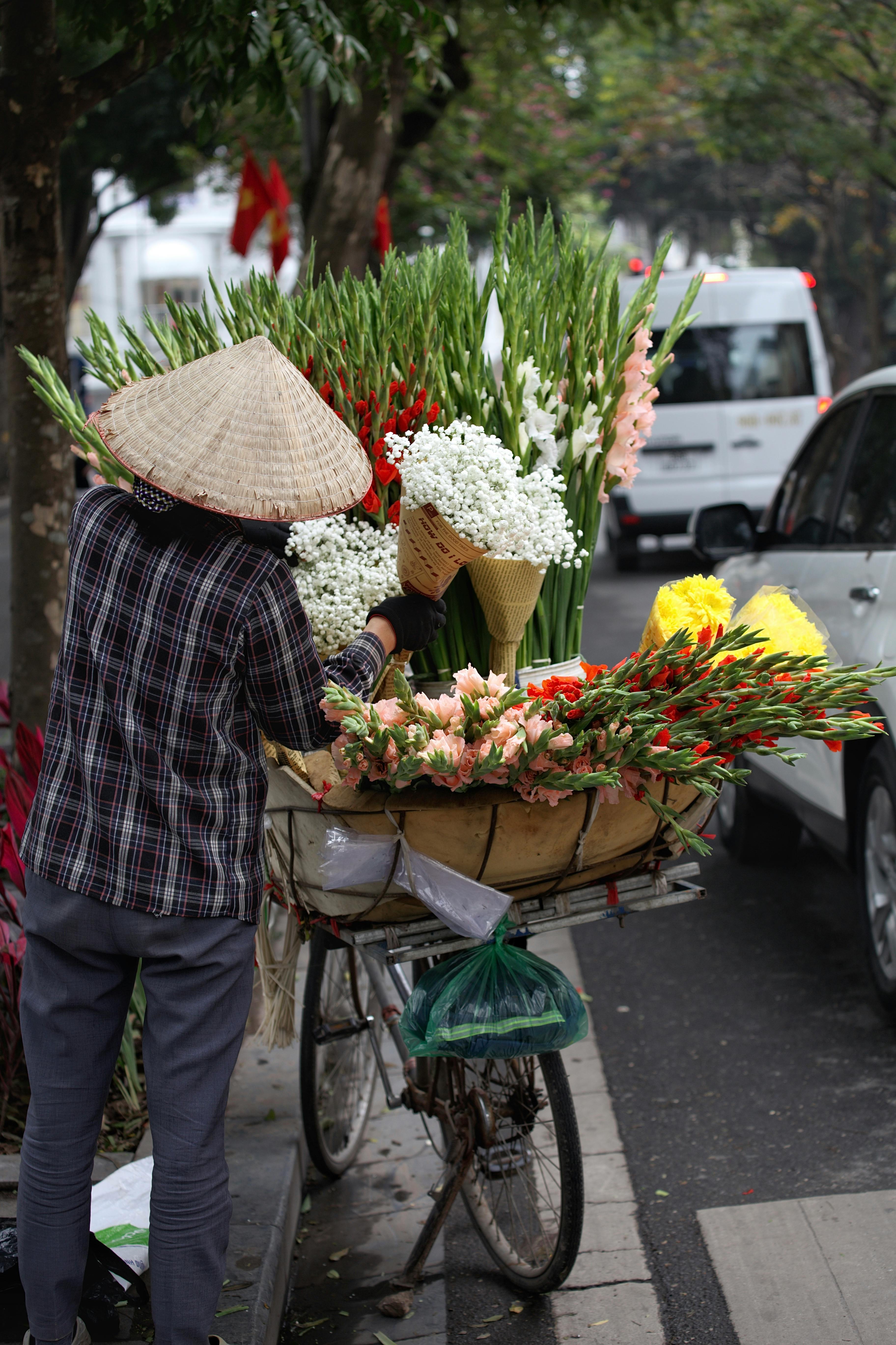 Street Flower Vendor with Colorful Bicycle Display · Free Stock Photo