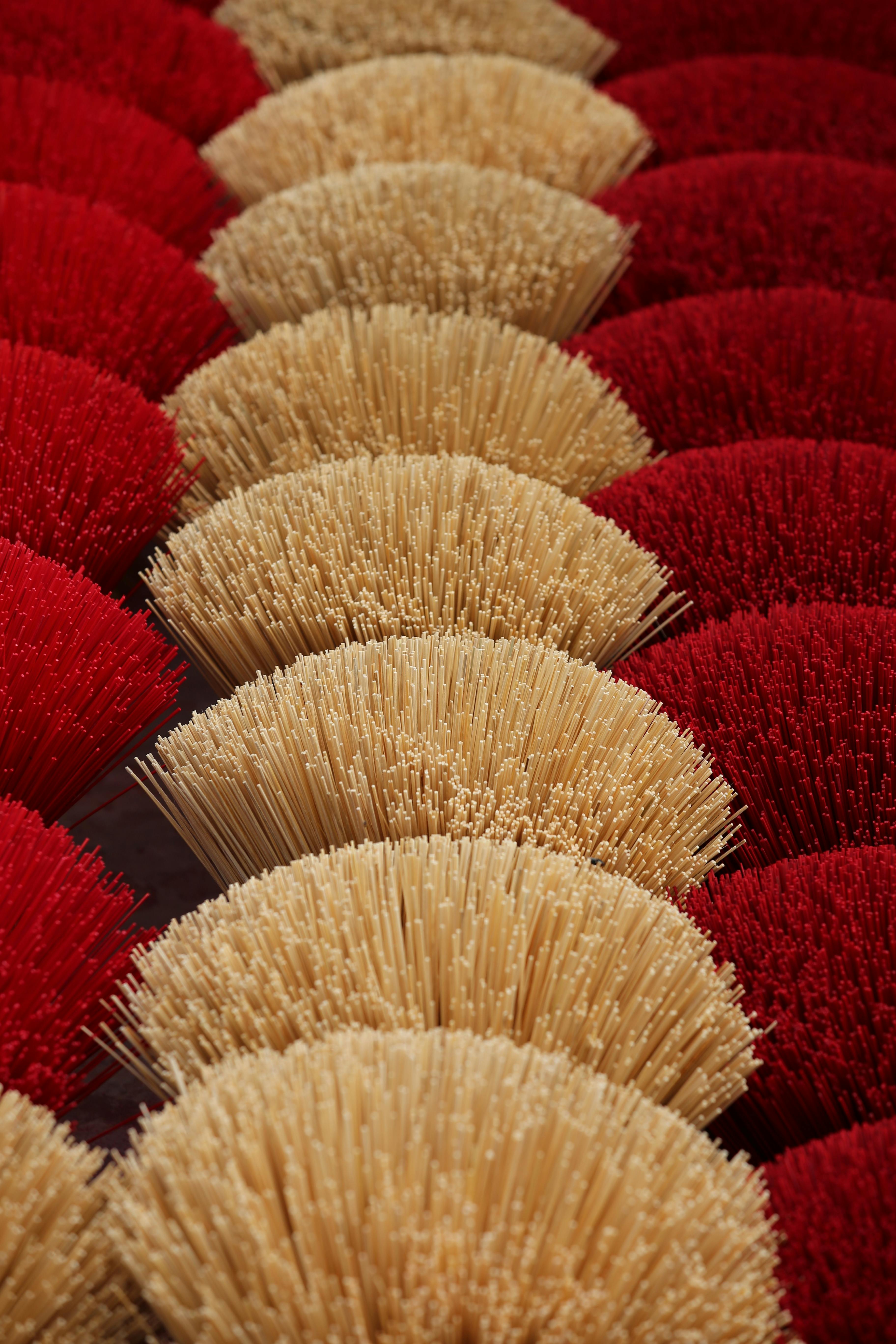 Close-Up of Colorful Pasta Display · Free Stock Photo