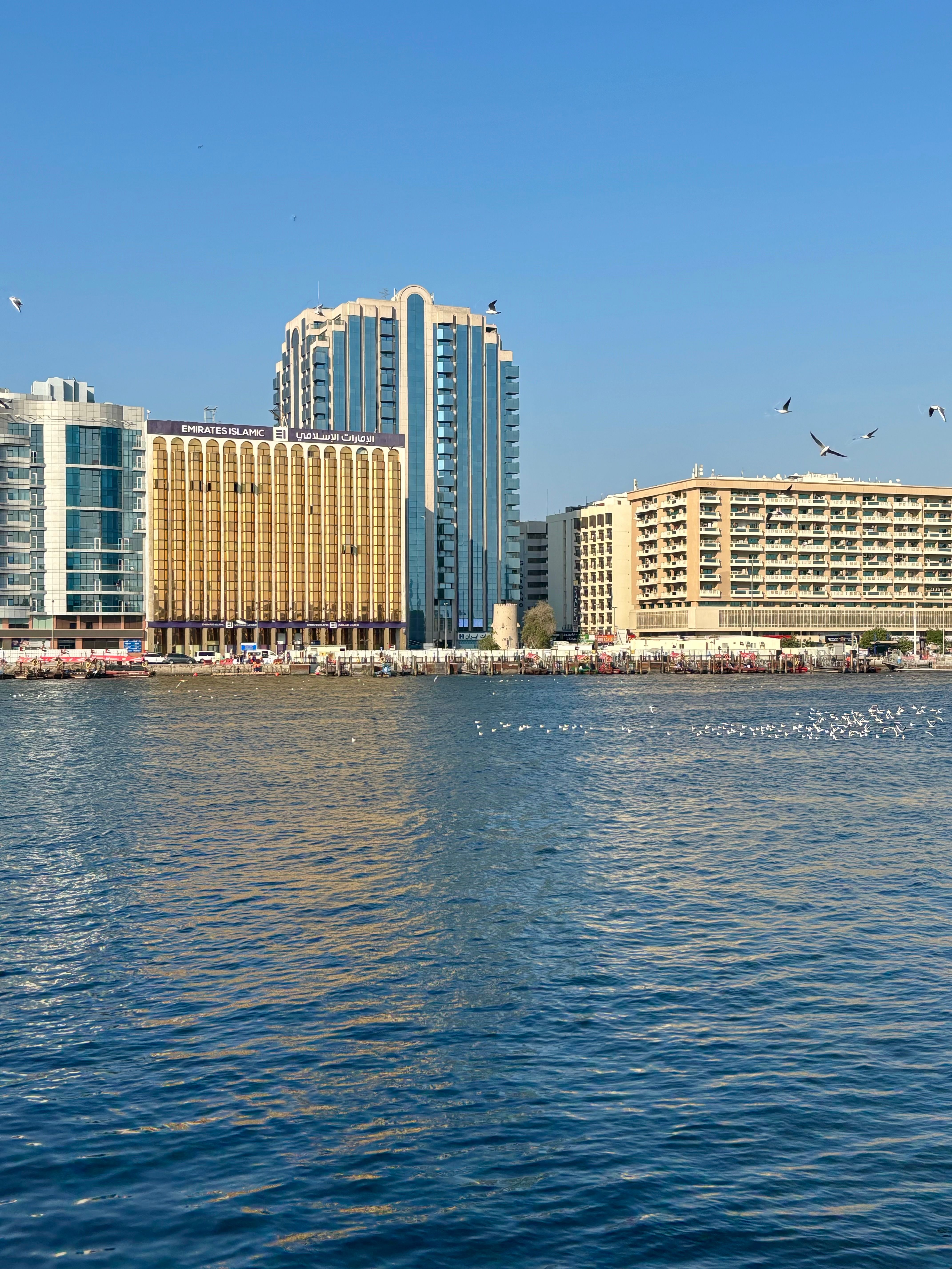 Dubai Waterfront Skyline with Seagulls · Free Stock Photo