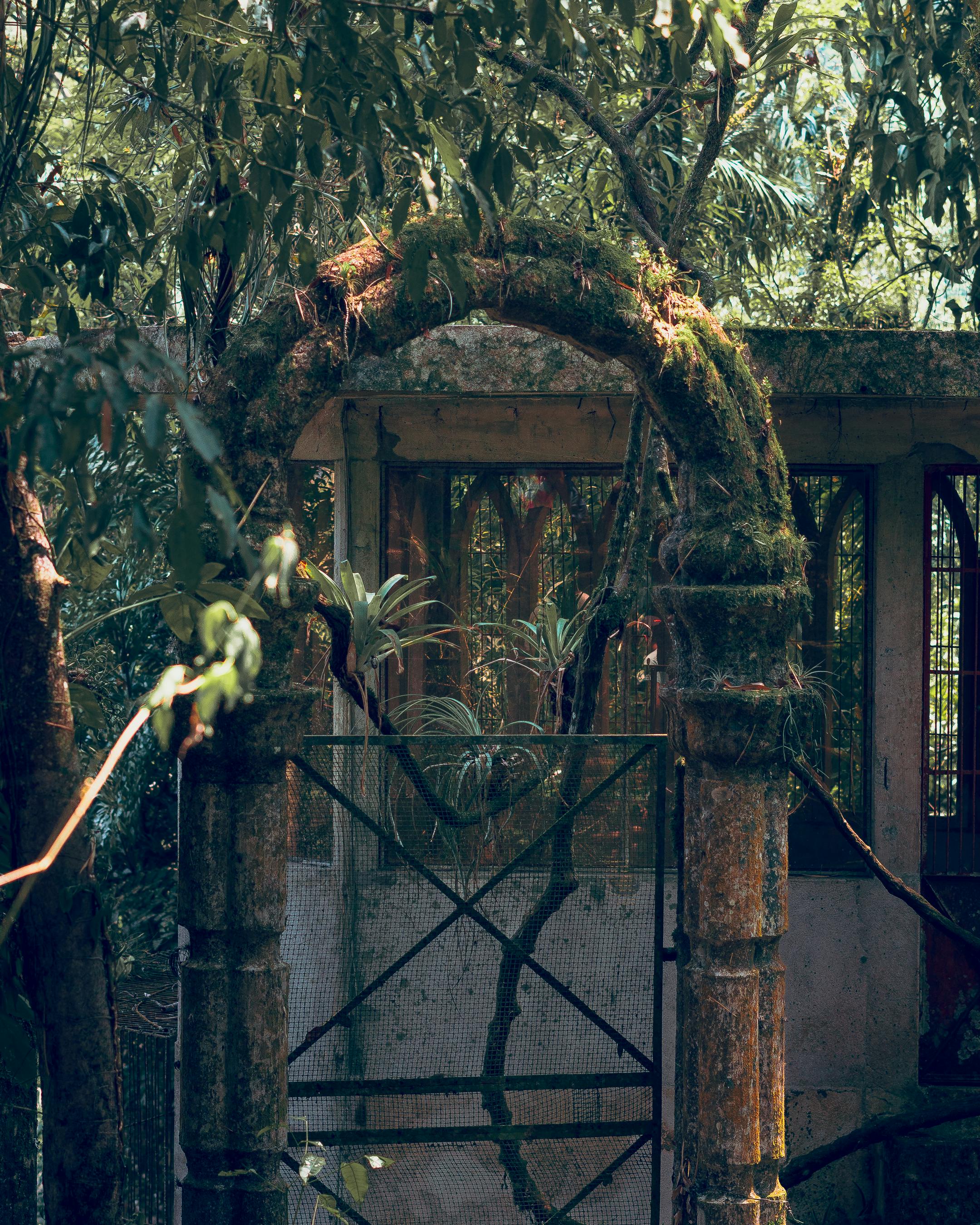 Enchanting Jungle Gate in Xilitla, Mexico · Free Stock Photo