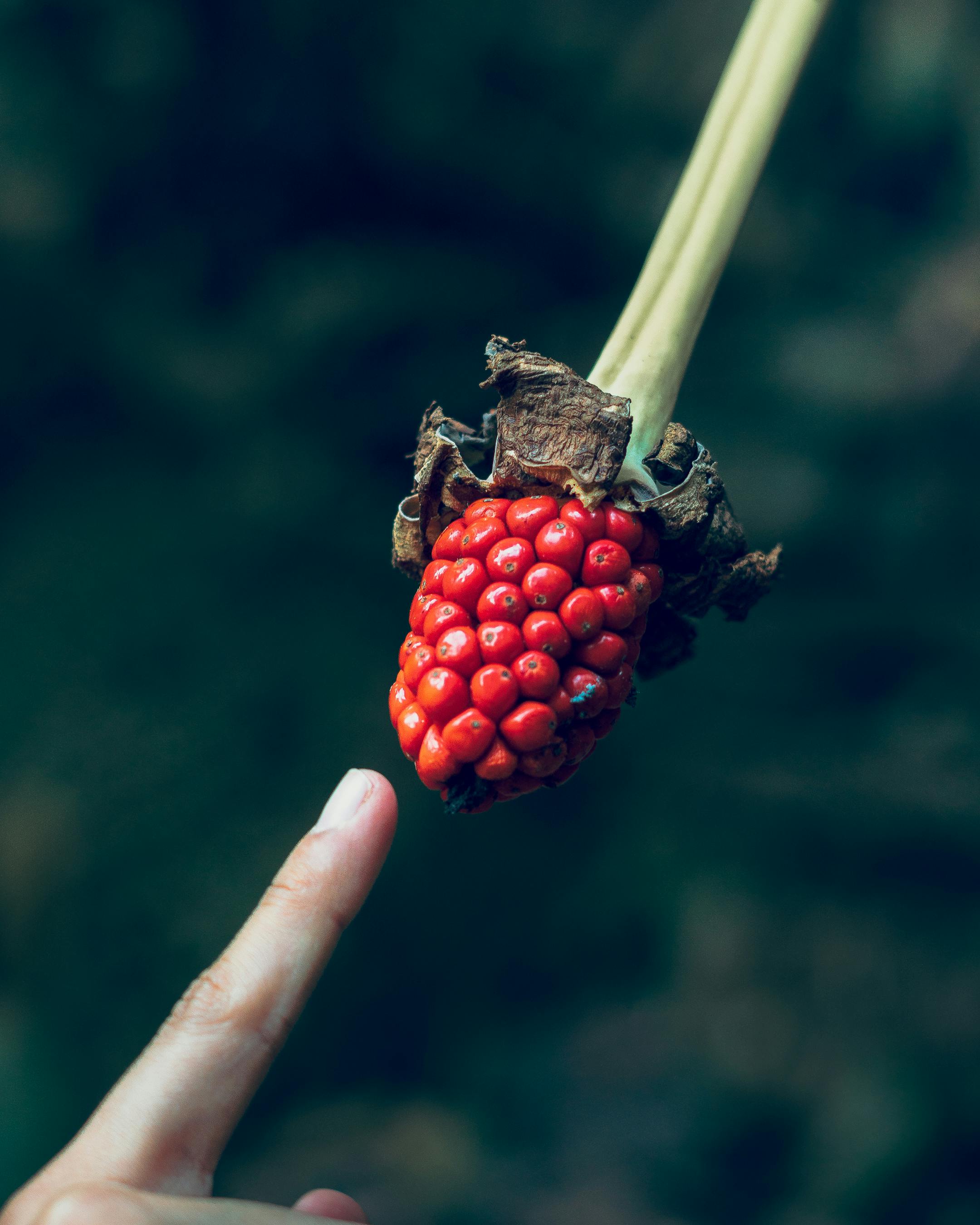 Run Finger Photos, Download The BEST Free Run Finger Stock Photos & HD ...