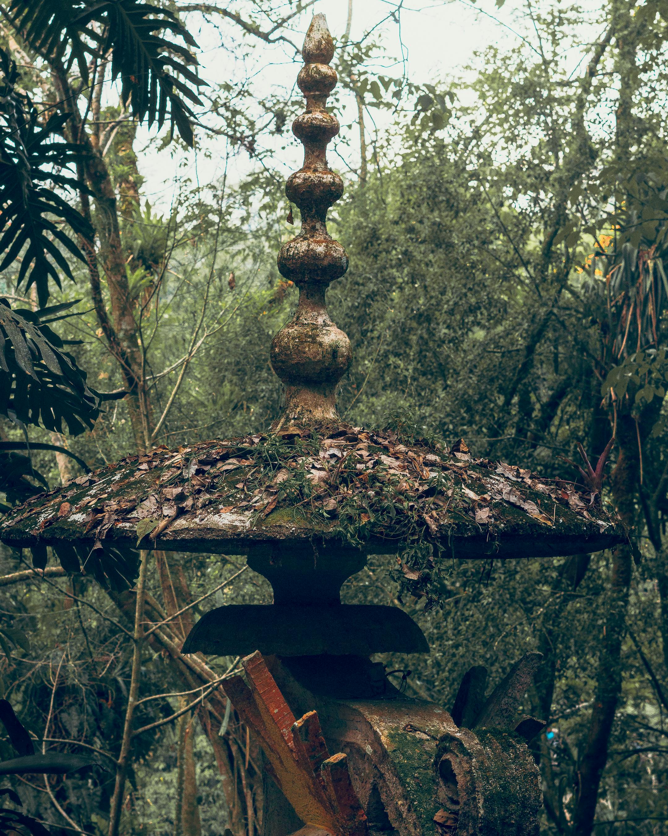 Woodland Structure Photos, Download The BEST Free Woodland Structure ...