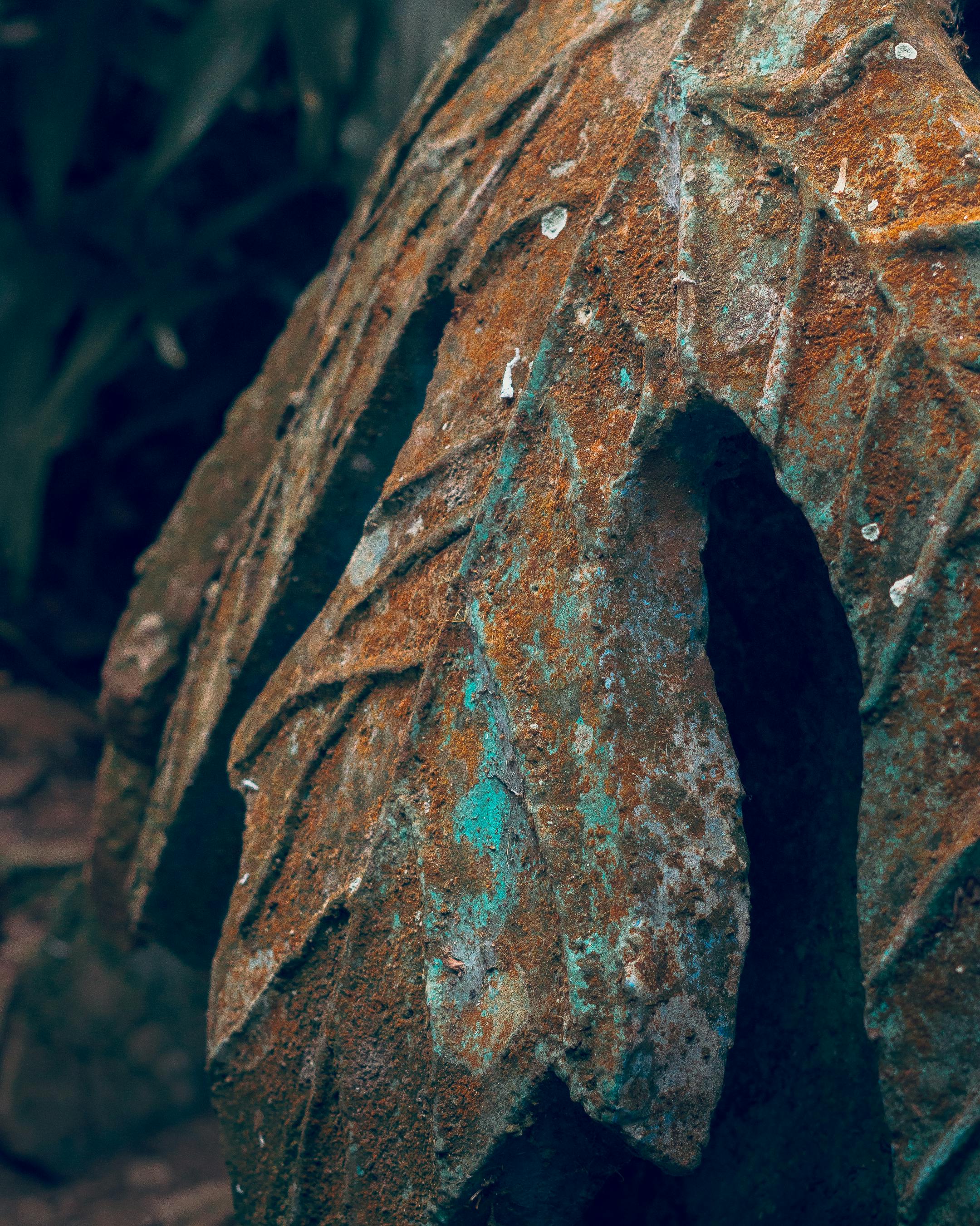 Alejandro Aznar - Fotografía