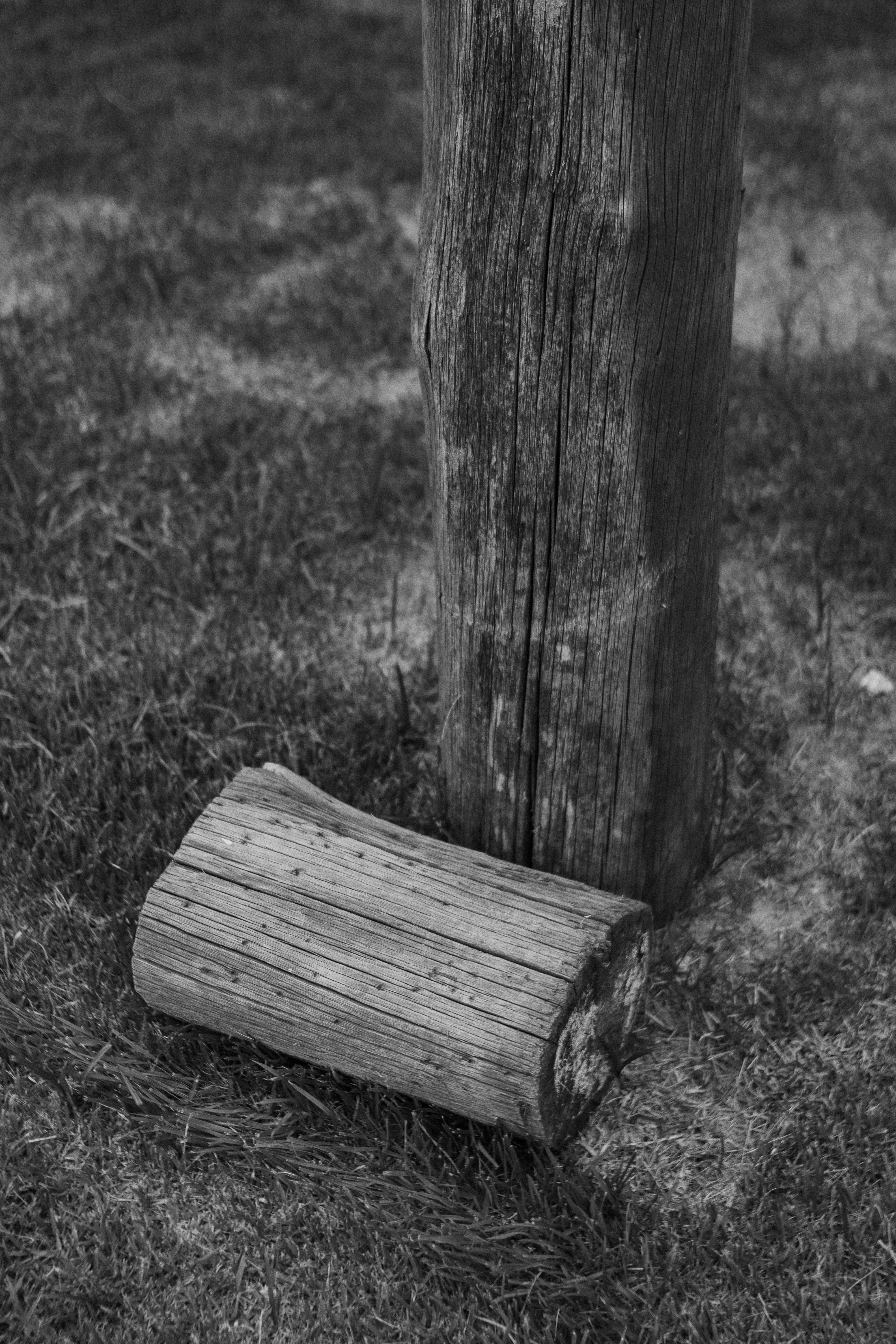 Black and White Rustic Wooden Log and Post · Free Stock Photo