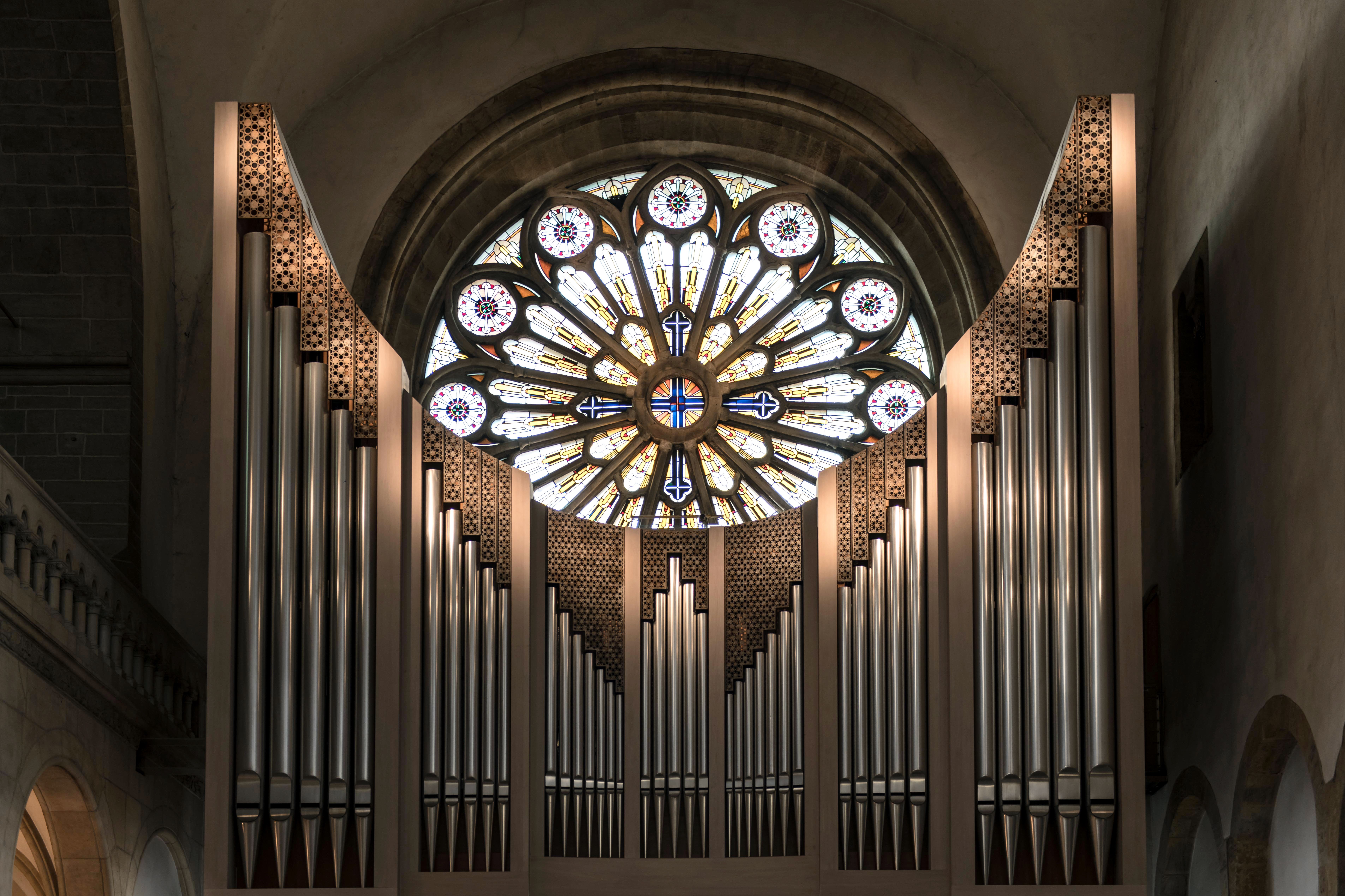 Iconic Pipe Organ at St. Peter's Cathedral · Free Stock Photo