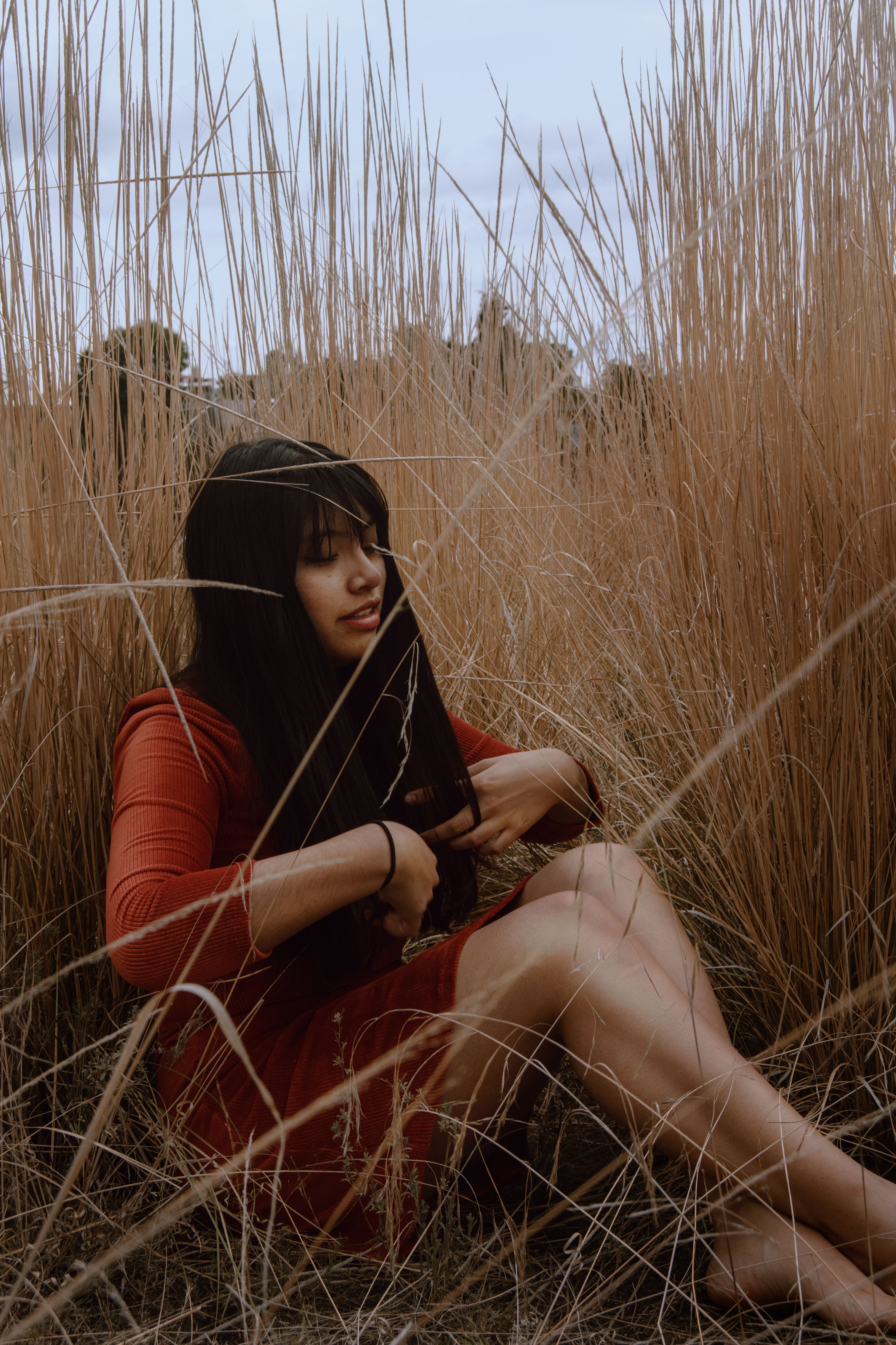 Women Sitting In Field Photos, Download The BEST Free Women Sitting In ...