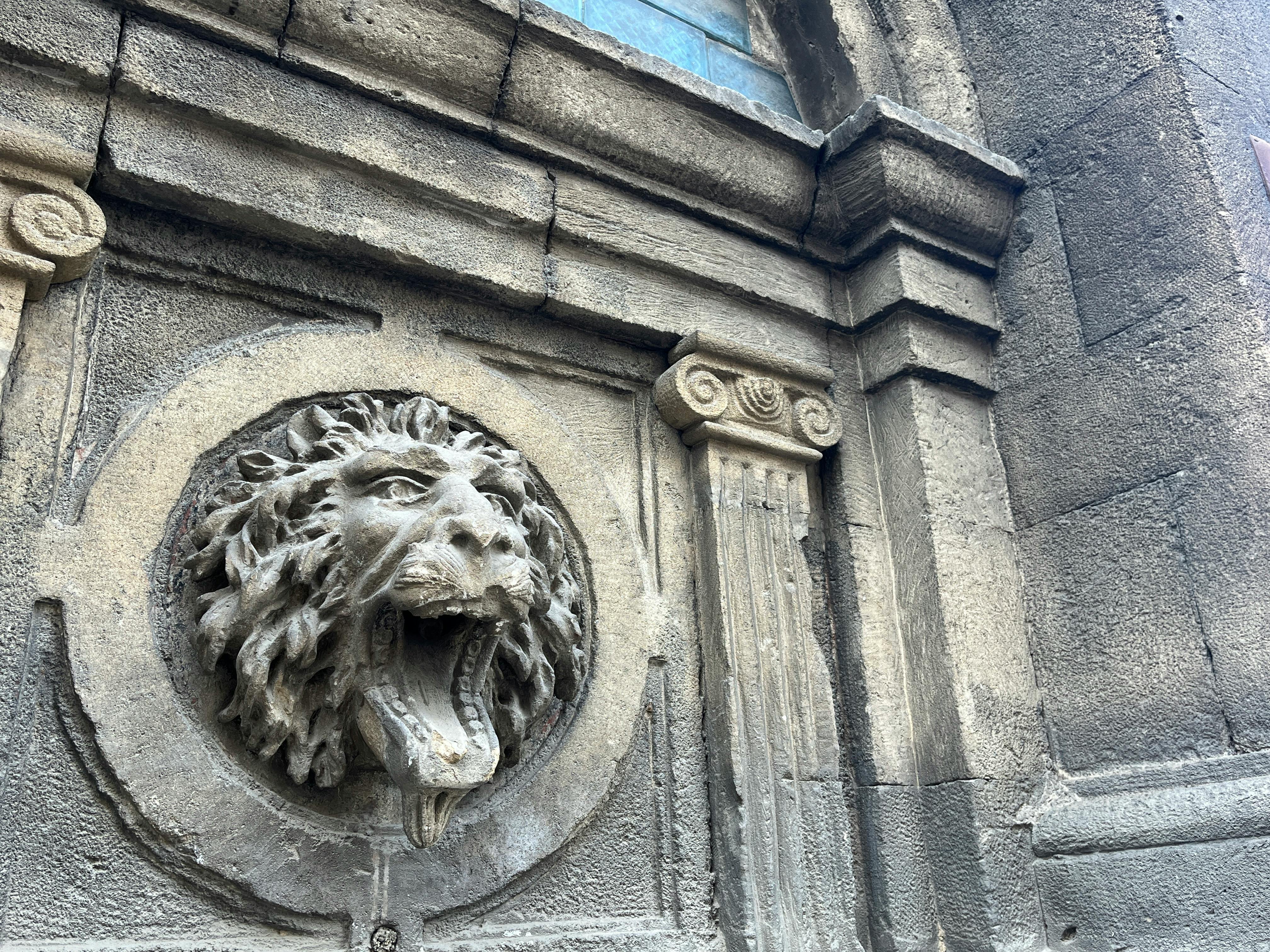 Lion Without A Map Photos, Download The BEST Free Lion Without A Map ...