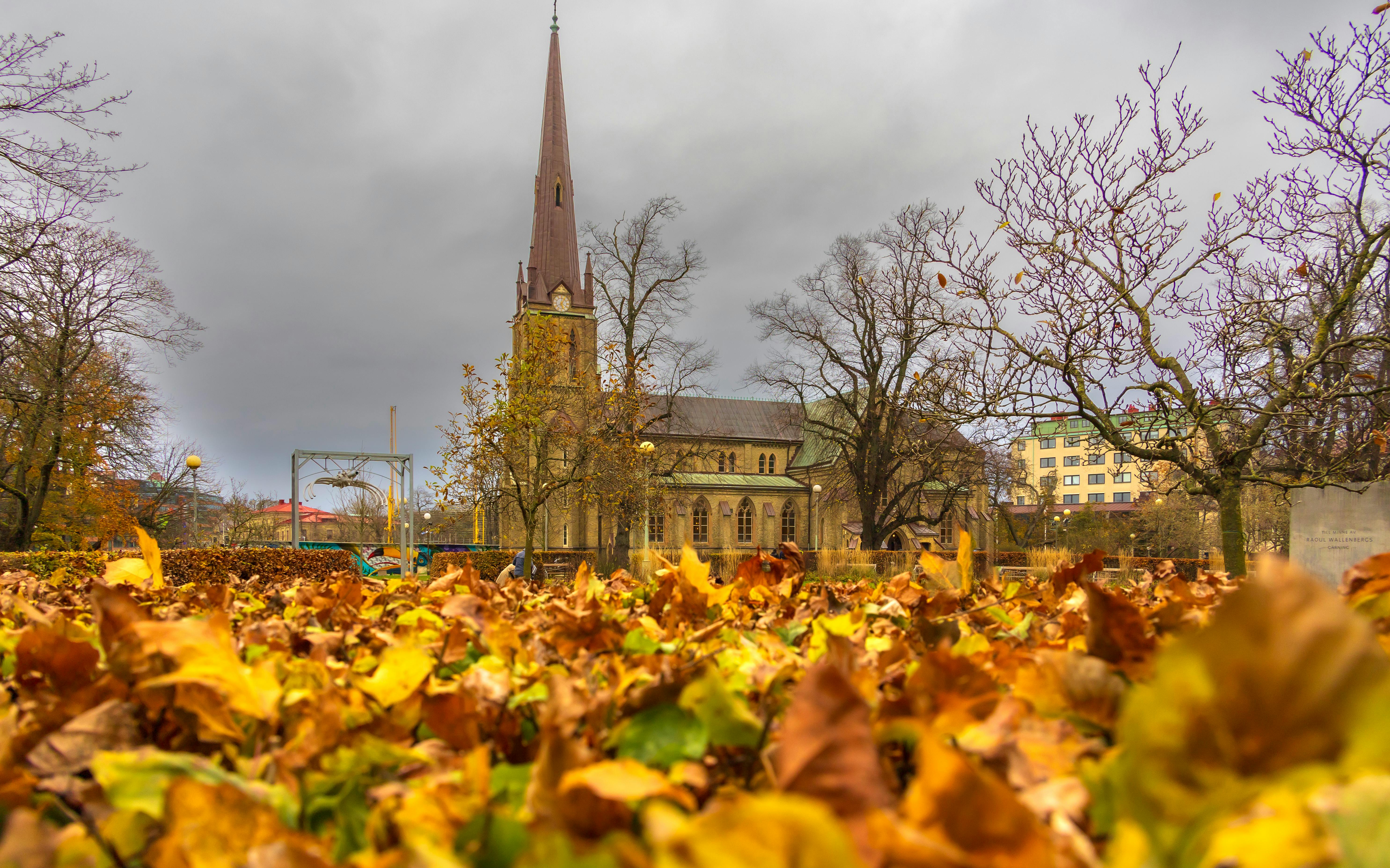 Charming Autumn Scene in Gothenburg Park · Free Stock Photo