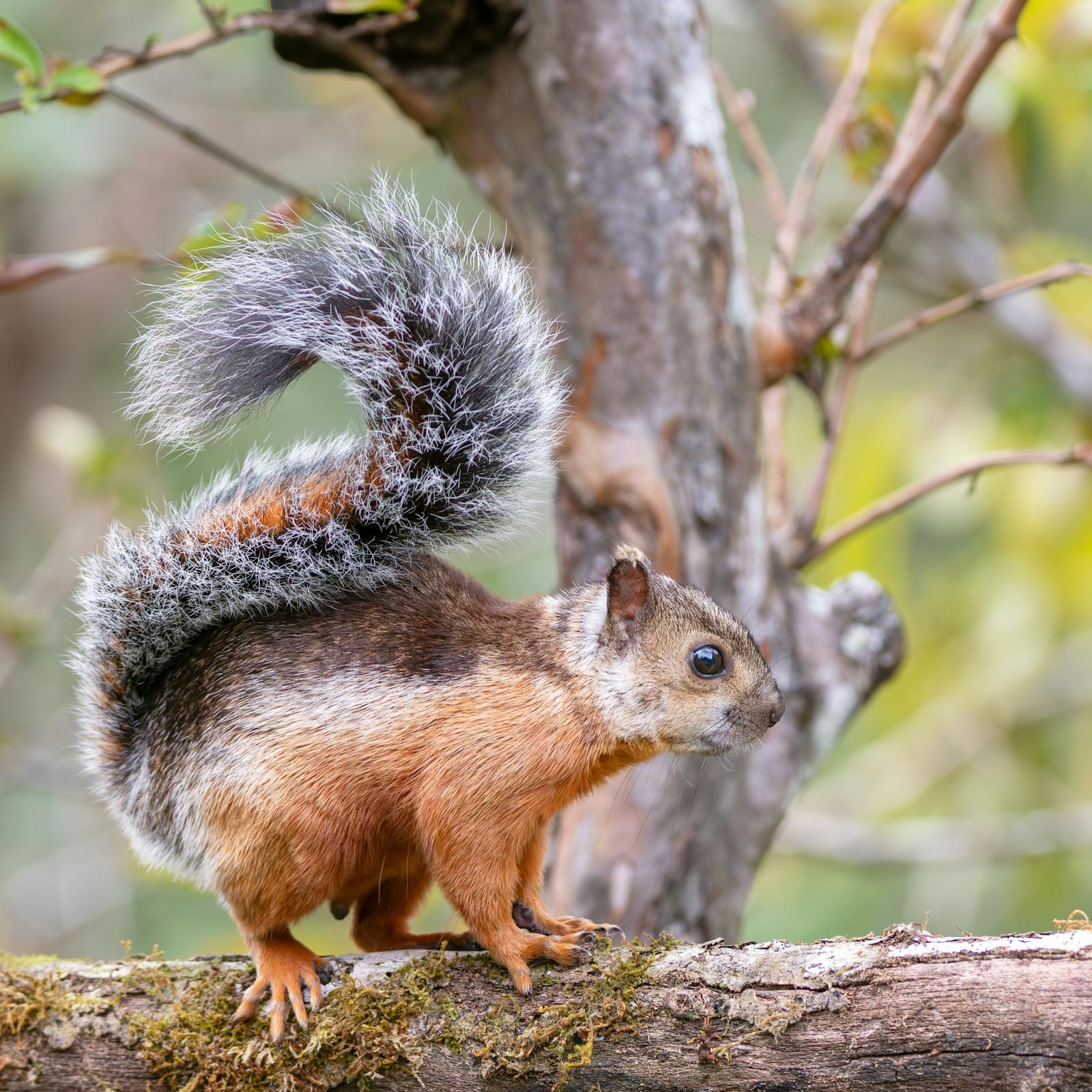 Costa Rica Photos, Download The BEST Free Costa Rica Stock Photos & HD ...