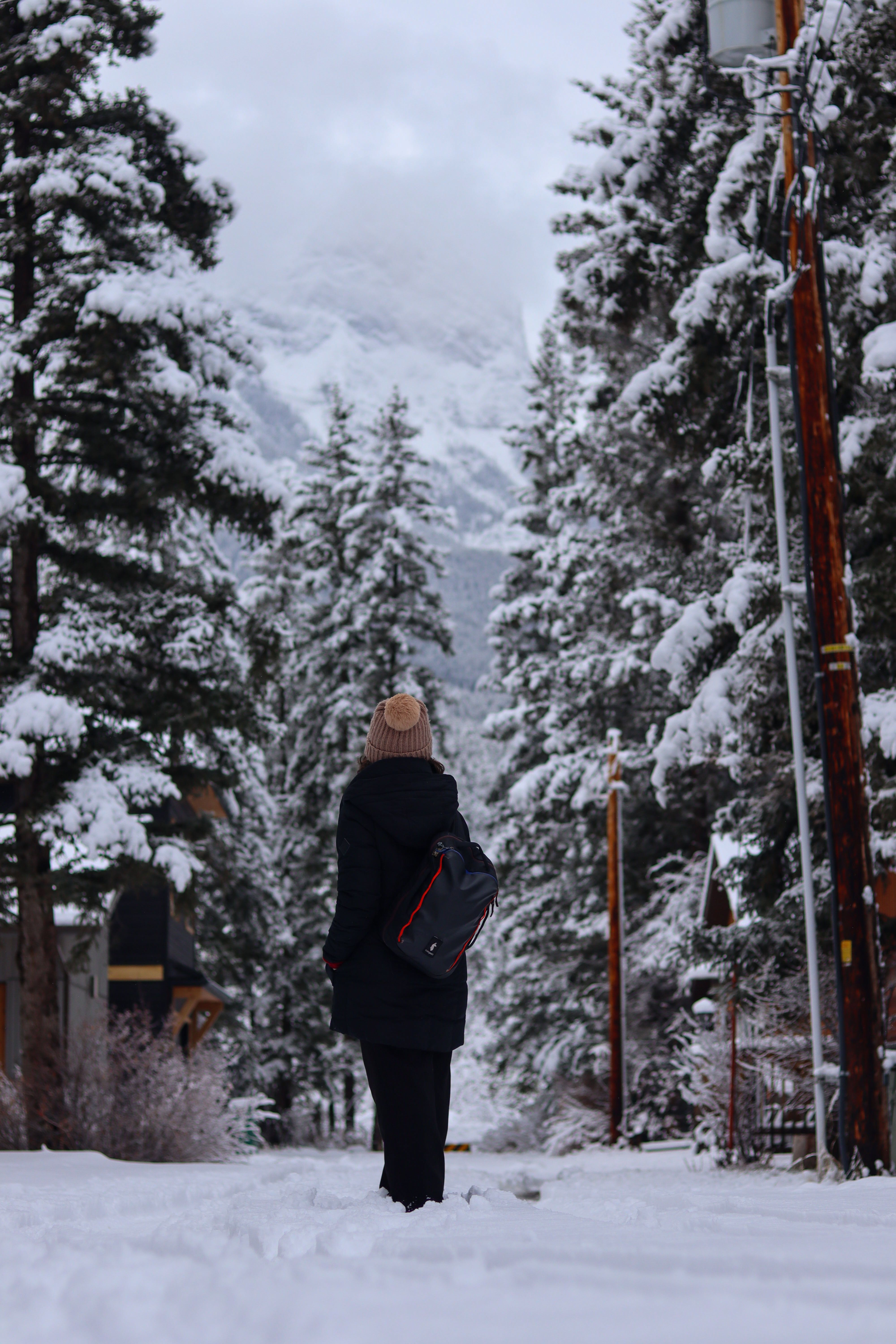 Winter Walk in Snow-Covered Forest Path · Free Stock Photo