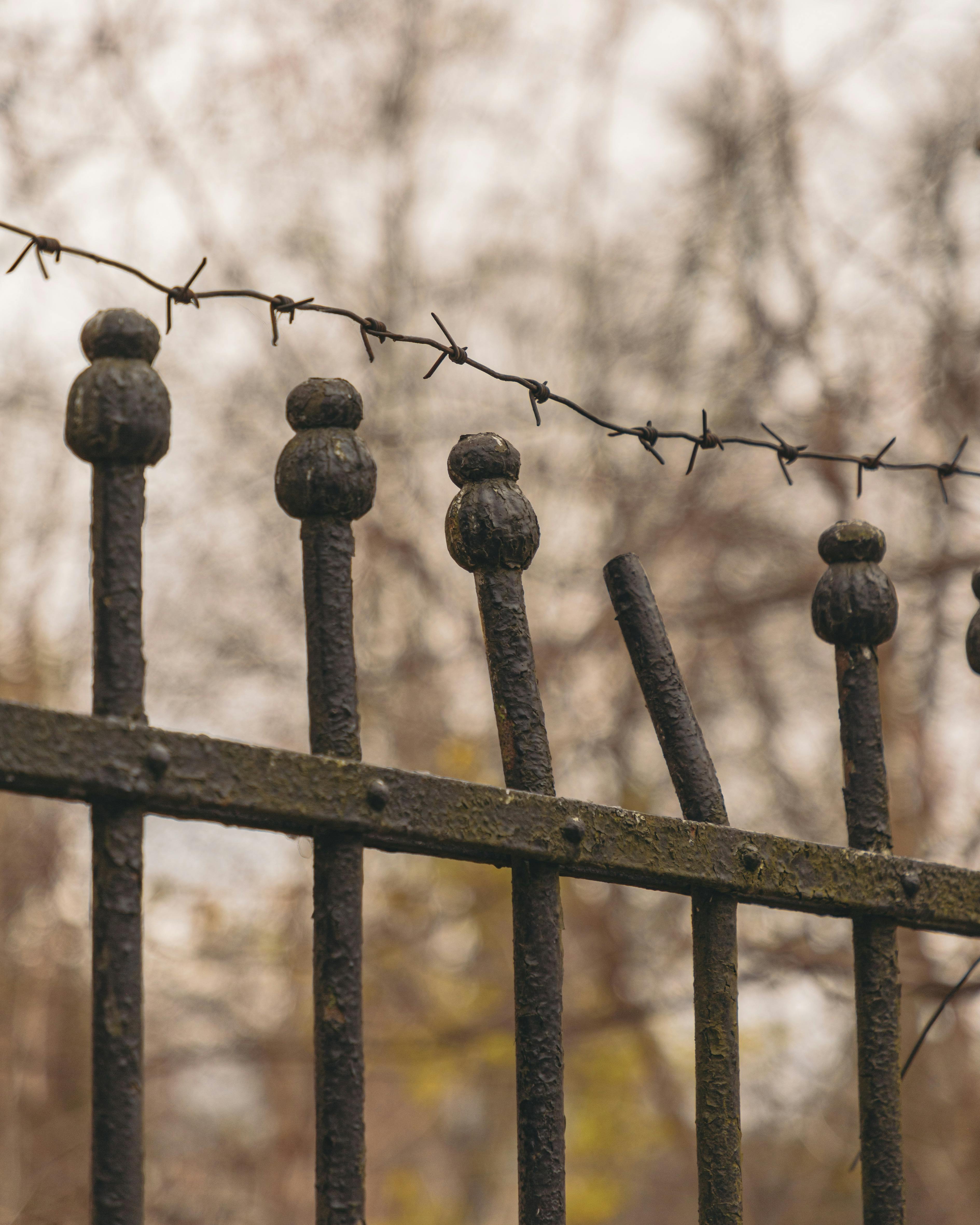 Detailed Focus on Weathered Metal Fence · Free Stock Photo