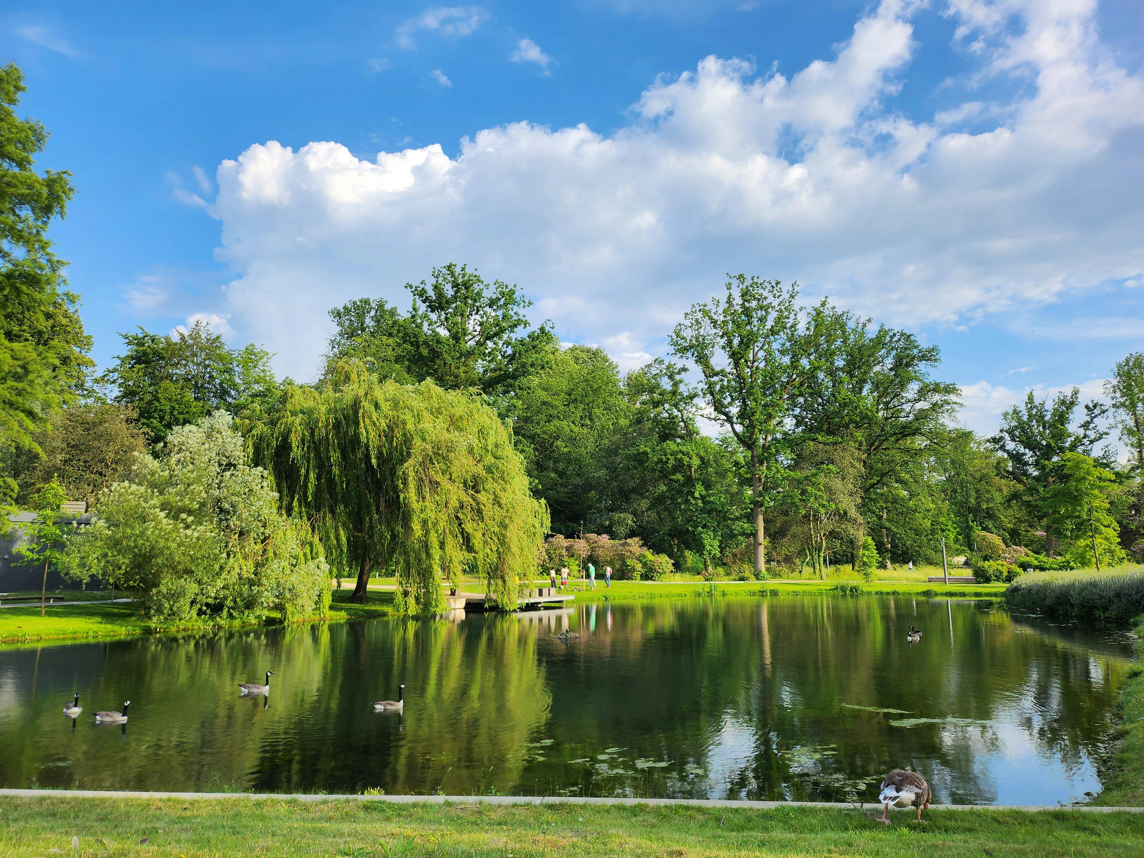 Floating Birds Photos, Download The BEST Free Floating Birds Stock ...