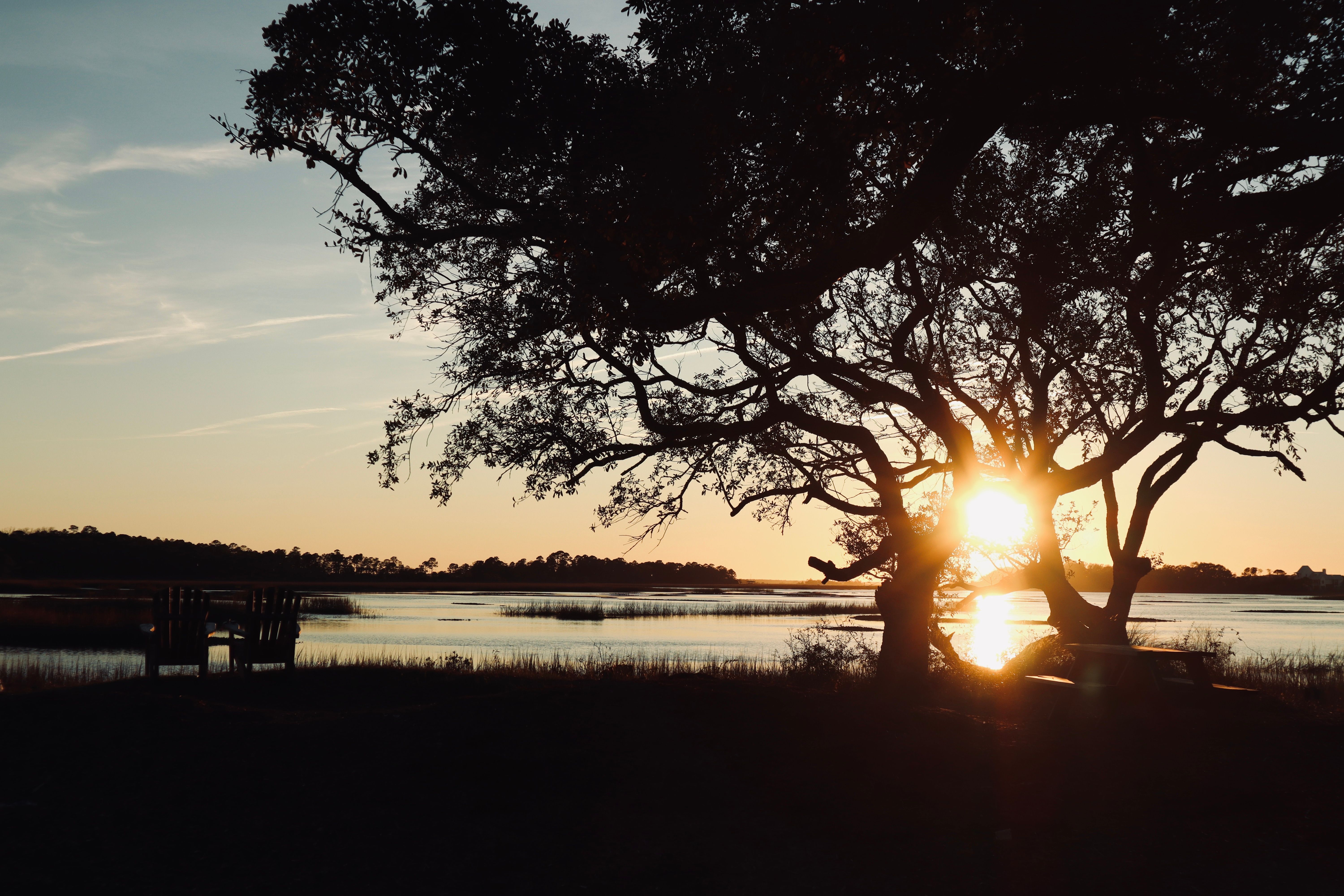 Beautiful Sunset · Free Stock Photo