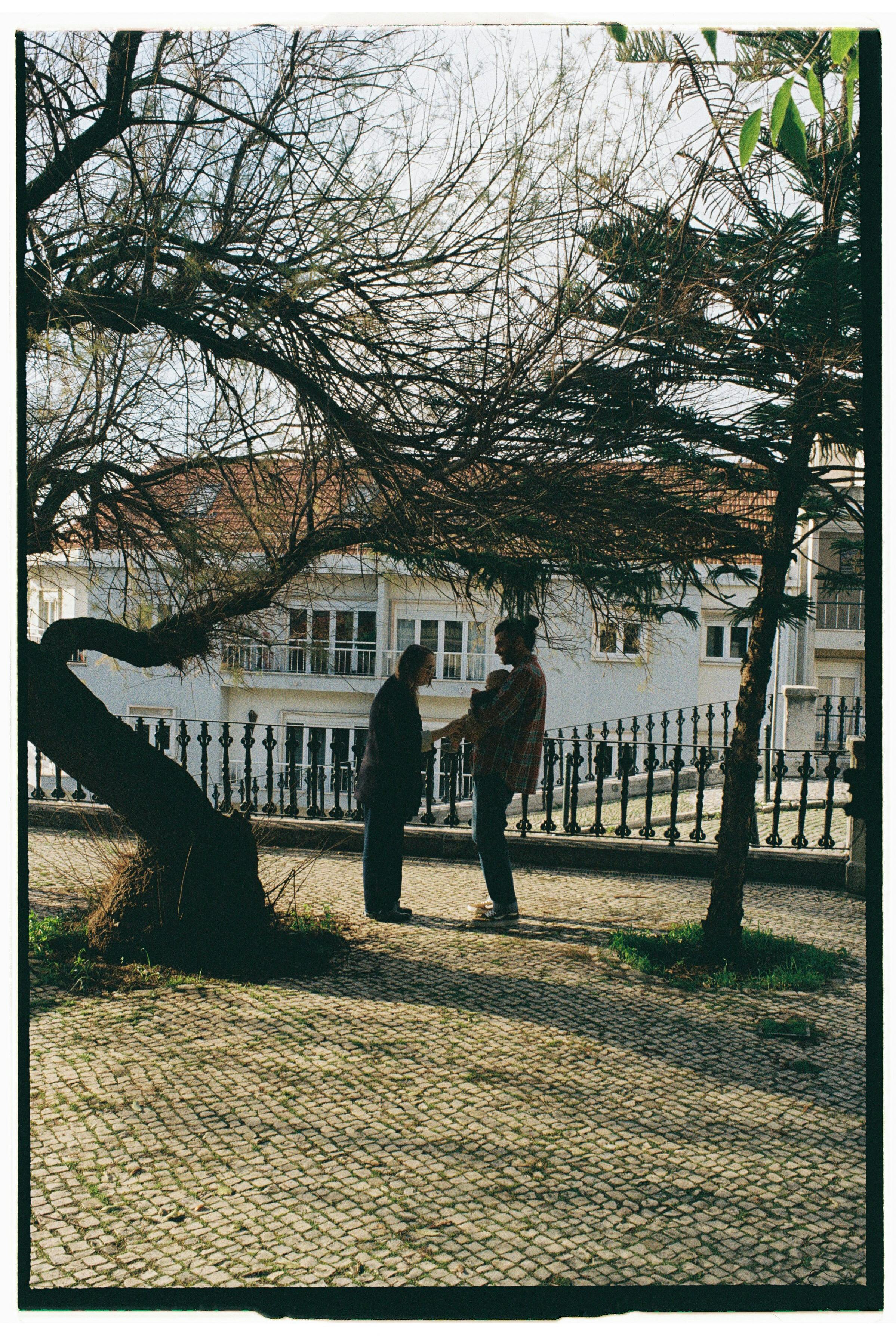 Silhouette of Two People Under Tree in Lisbon · Free Stock Photo