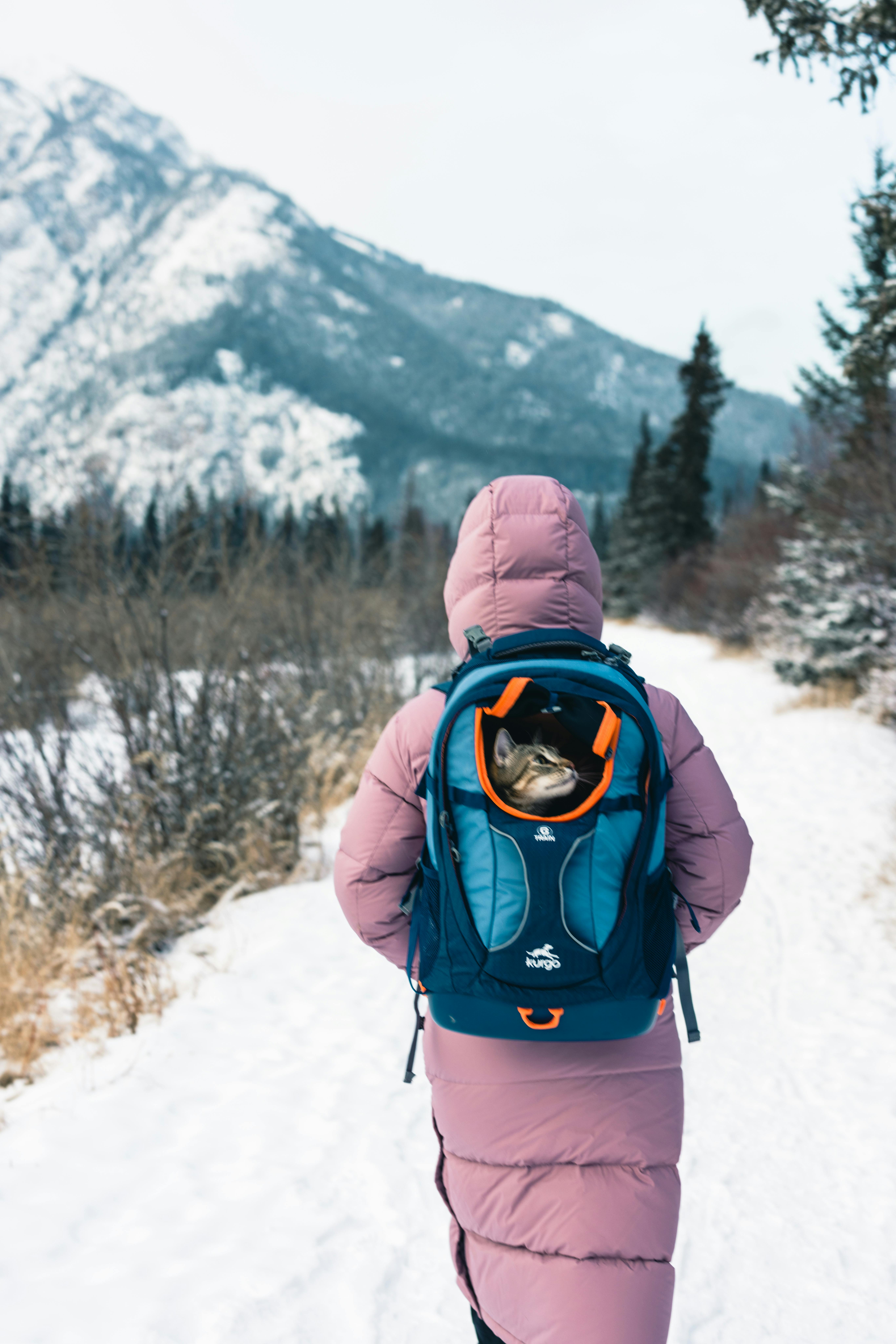 Winter Hiking in Banff with Cat Backpack · Free Stock Photo