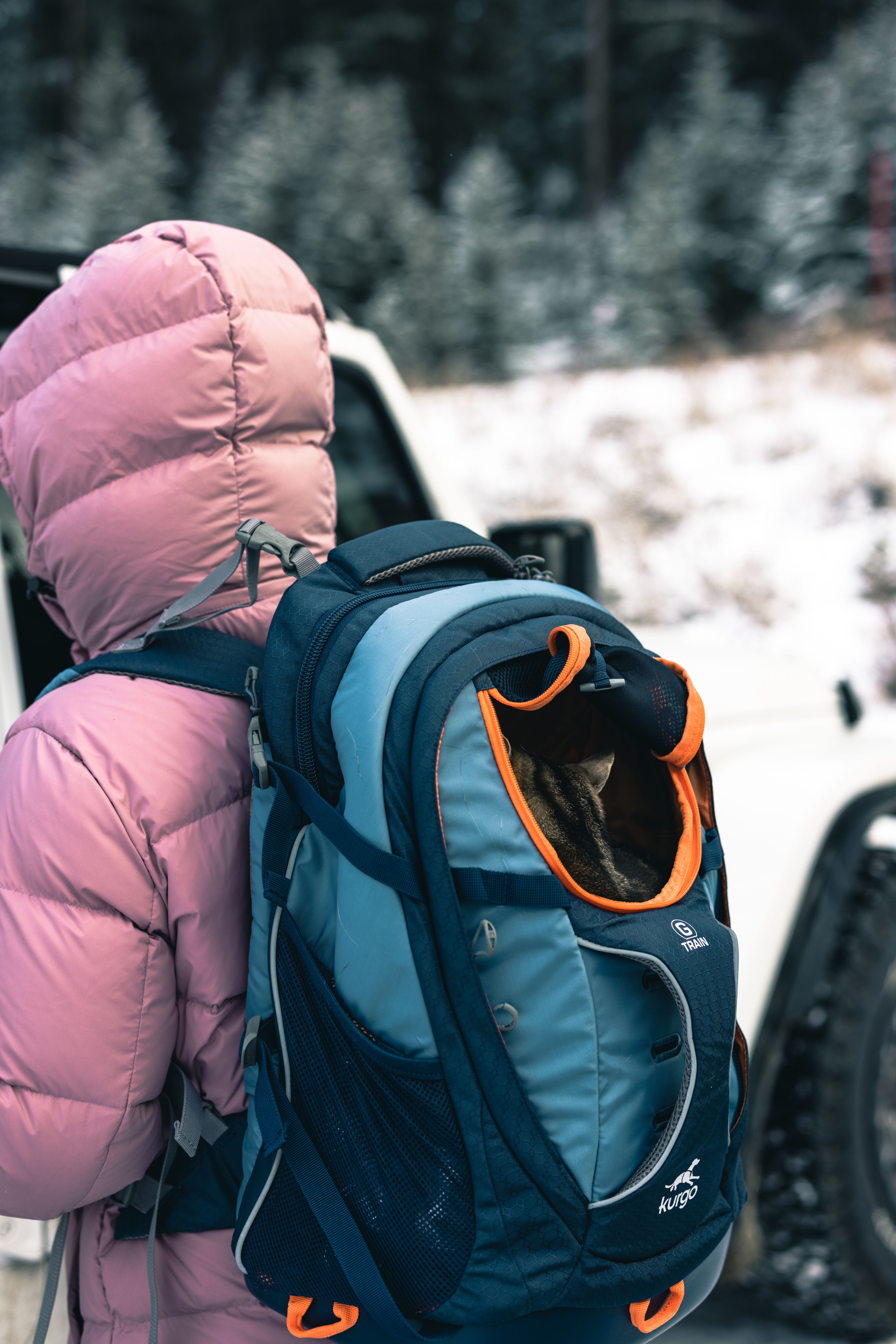 Winter Hike with Cat in Backpack - Banff Adventure · Free Stock Photo