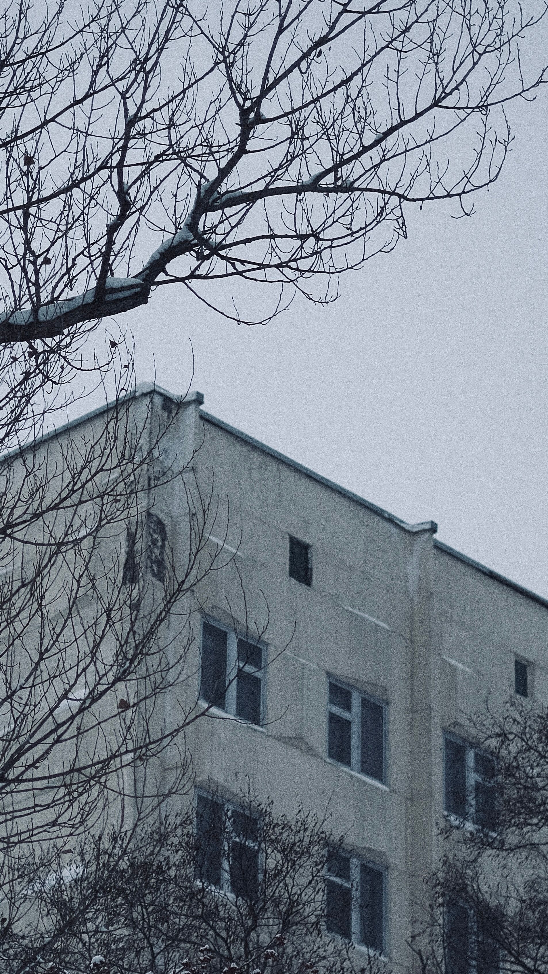 Urban Winter Scene with Apartment Building · Free Stock Photo