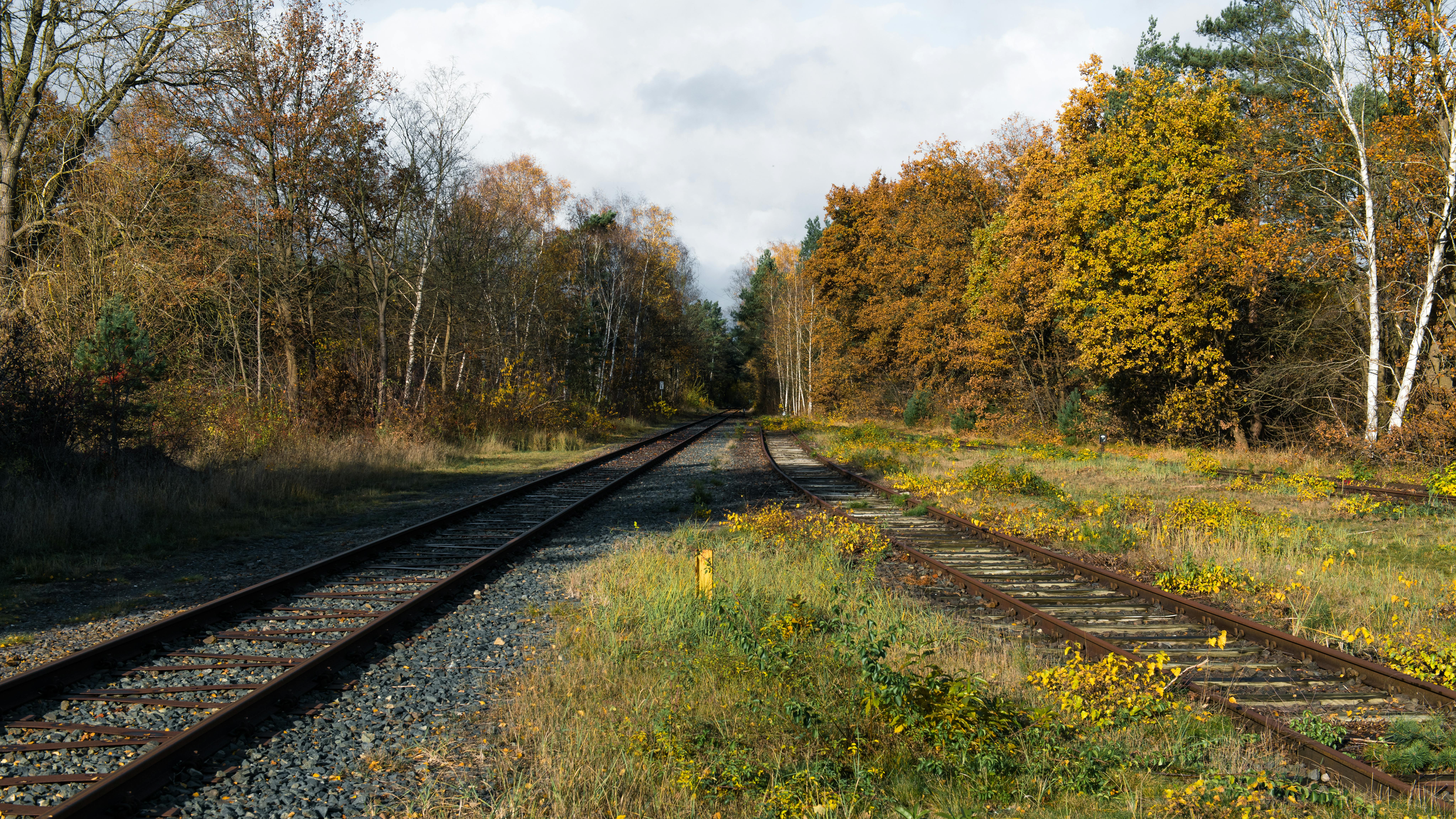 Scenic Autumn Railway in Geesthacht, Germany · Free Stock Photo
