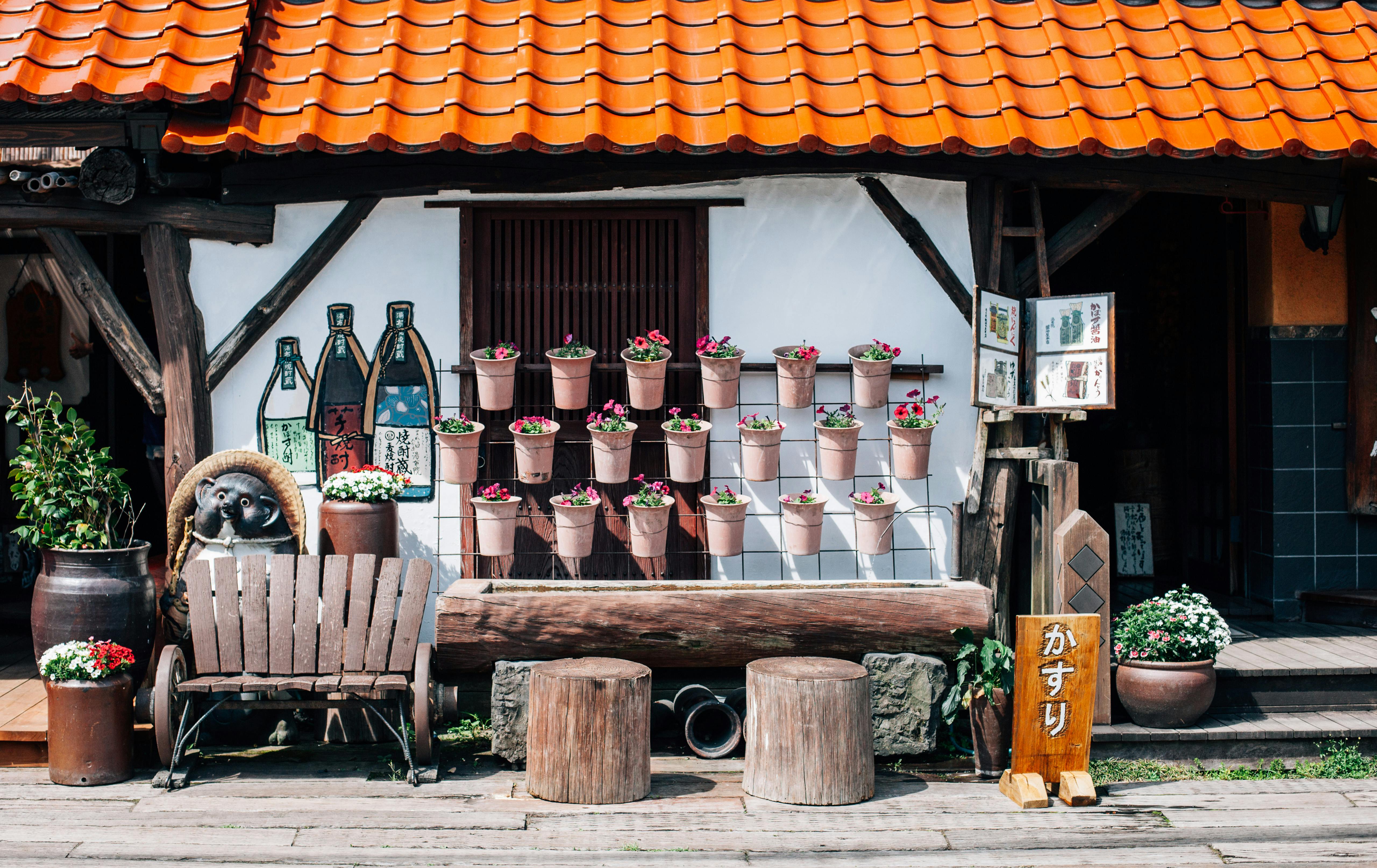 Pots with flowers in local street shop · Free Stock Photo