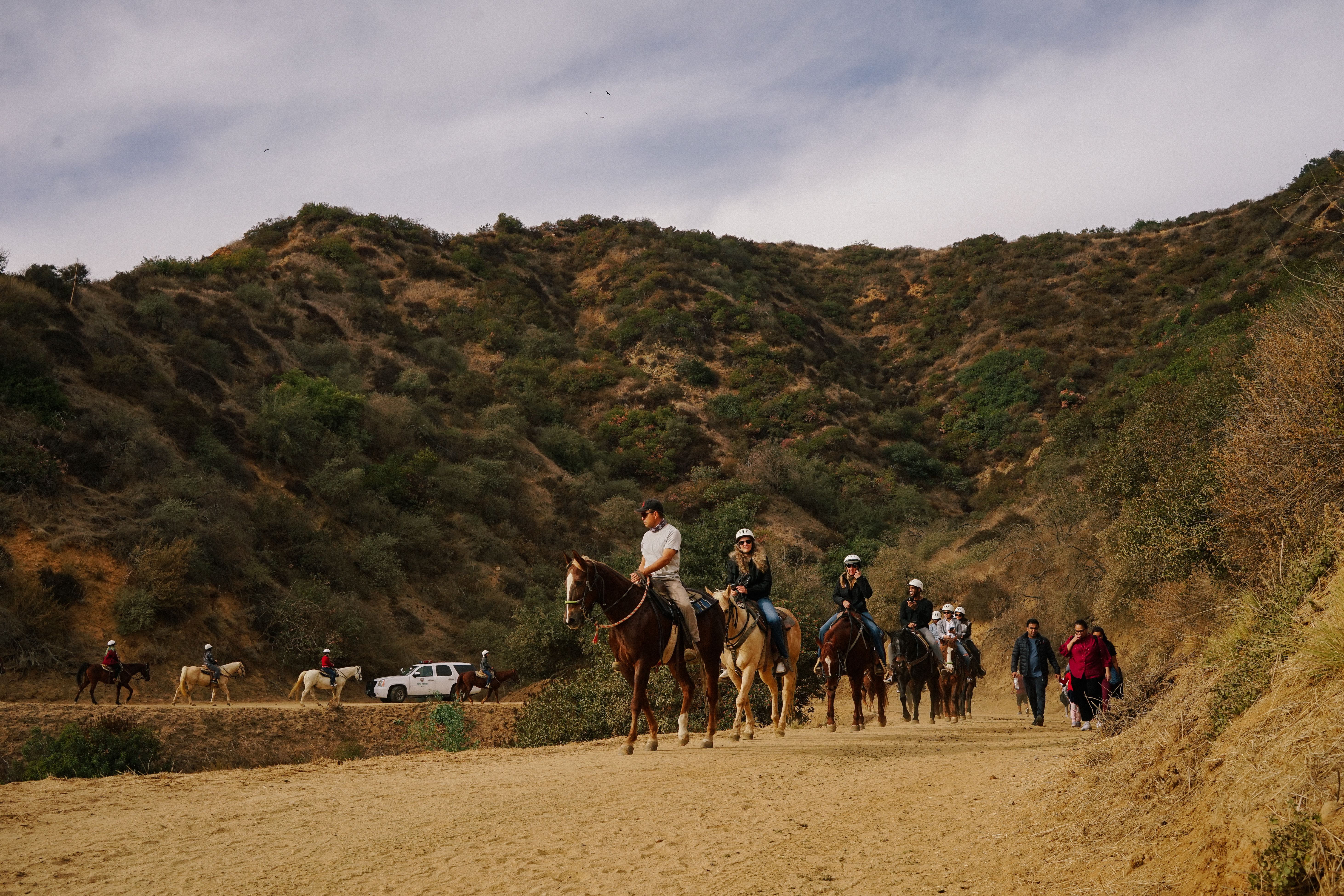 Group Horseback Riding in Scenic Canyon Trail · Free Stock Photo