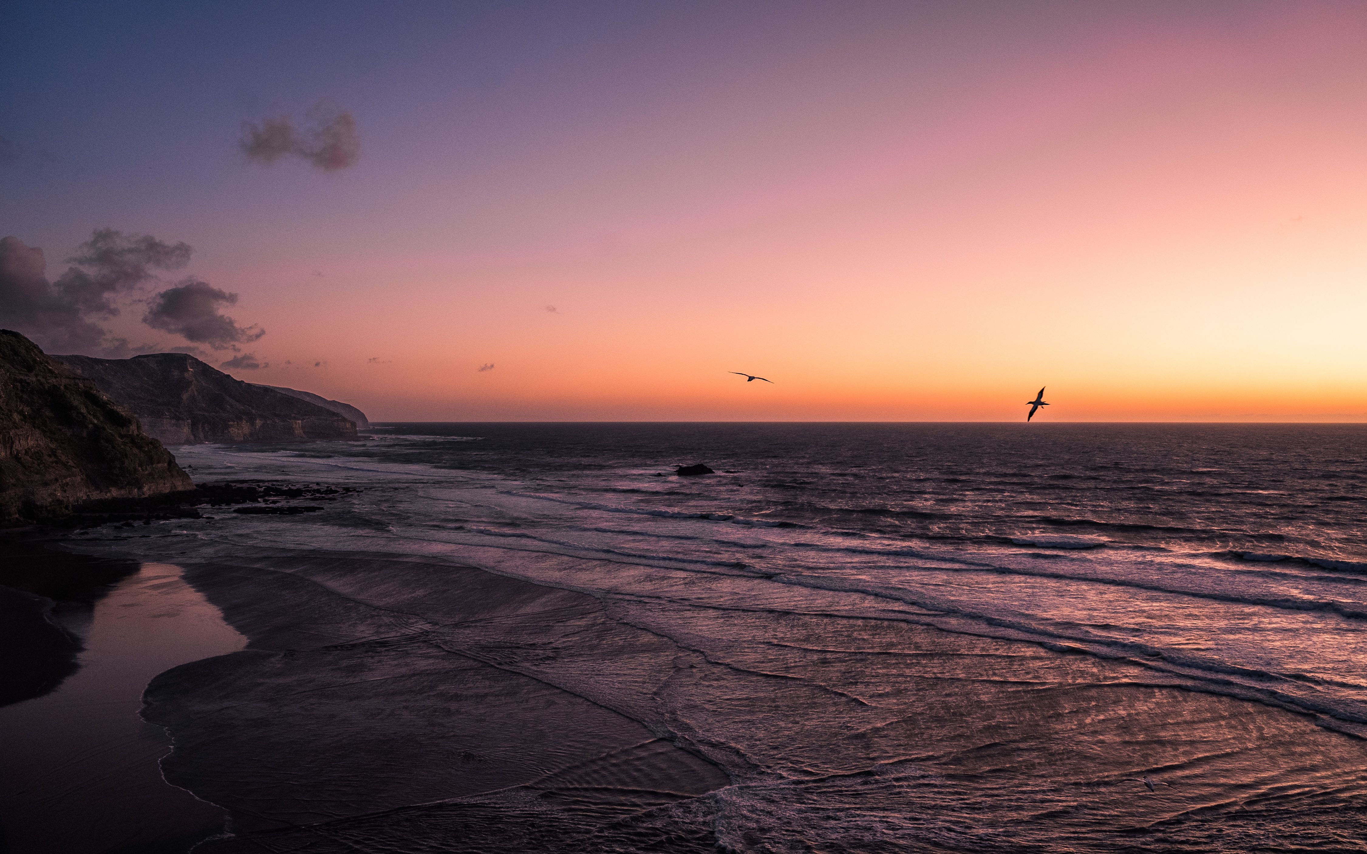 Stunning Sunset Over Auckland's Scenic Coastline · Free Stock Photo