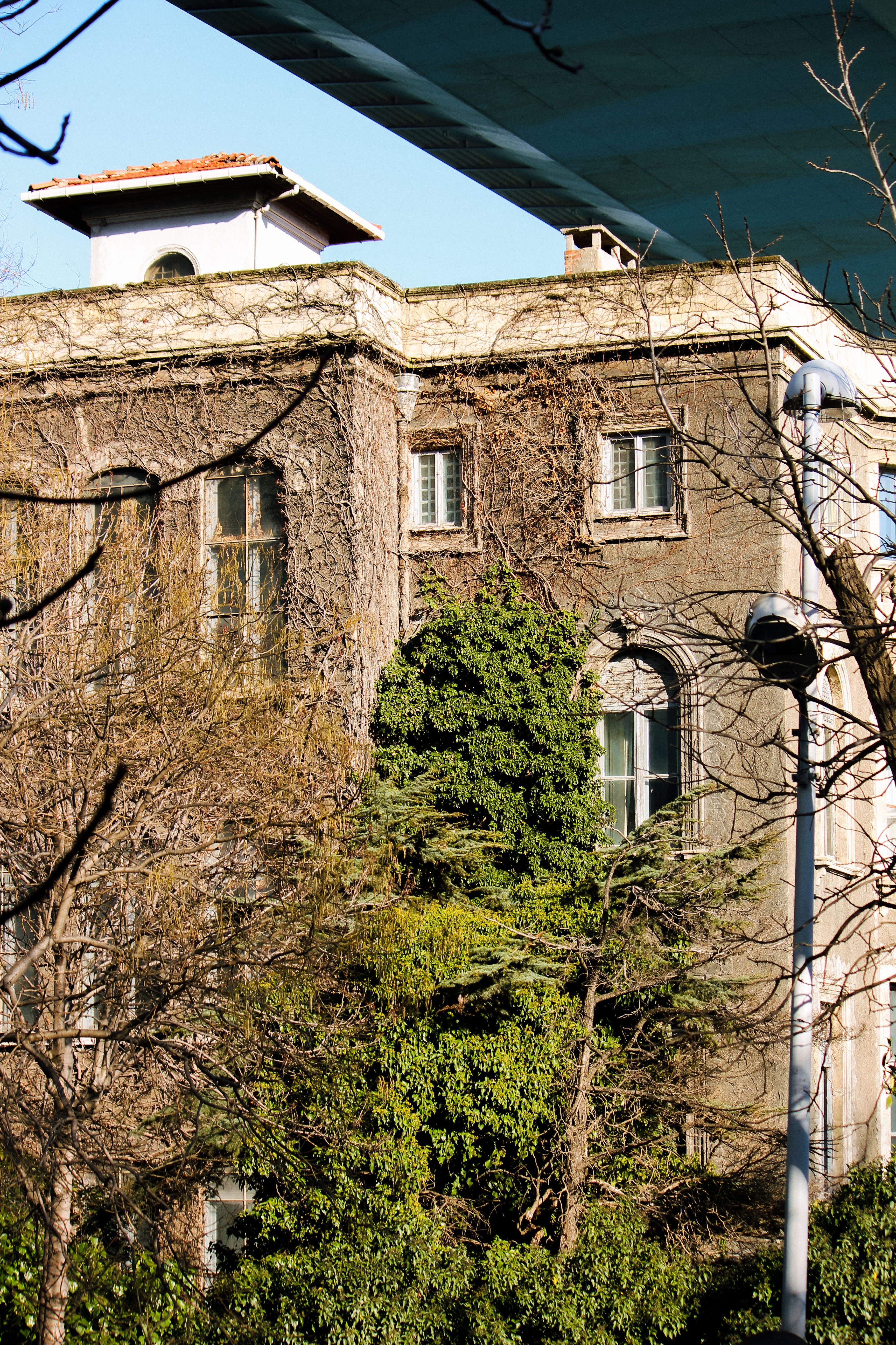 Old Building with Overgrown Greenery Under Bridge · Free Stock Photo