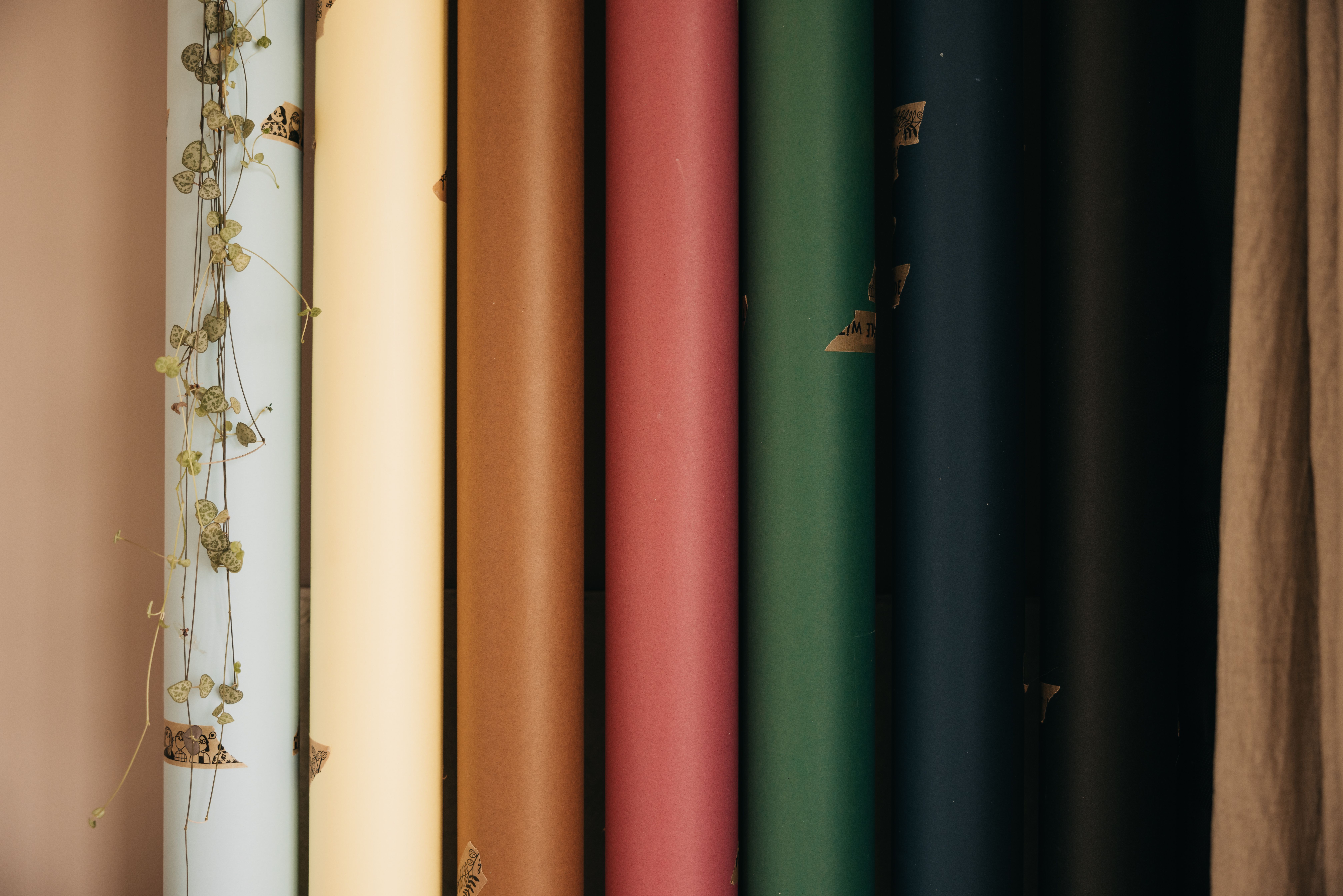 Colorful Vertical Paper Rolls with Stem Decor · Free Stock Photo