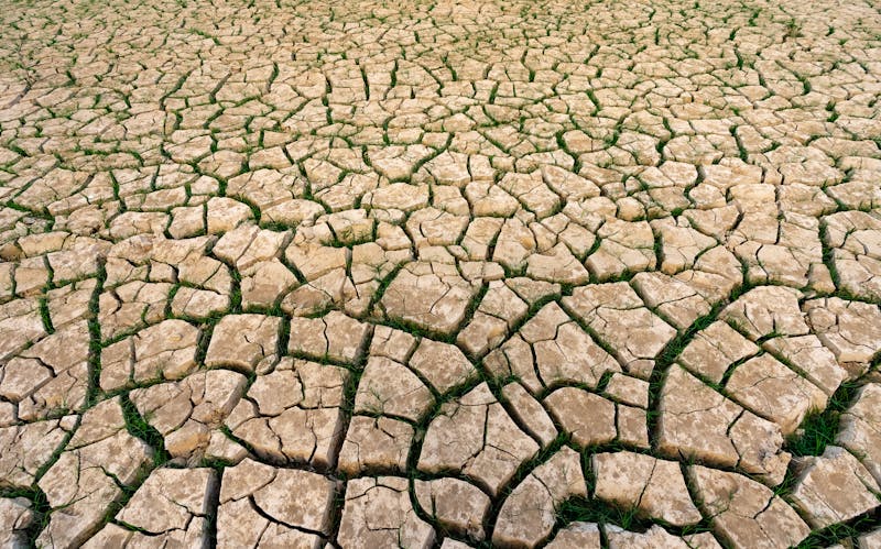 Pictures Of Drought Photos, Download The BEST Free Pictures Of Drought ...