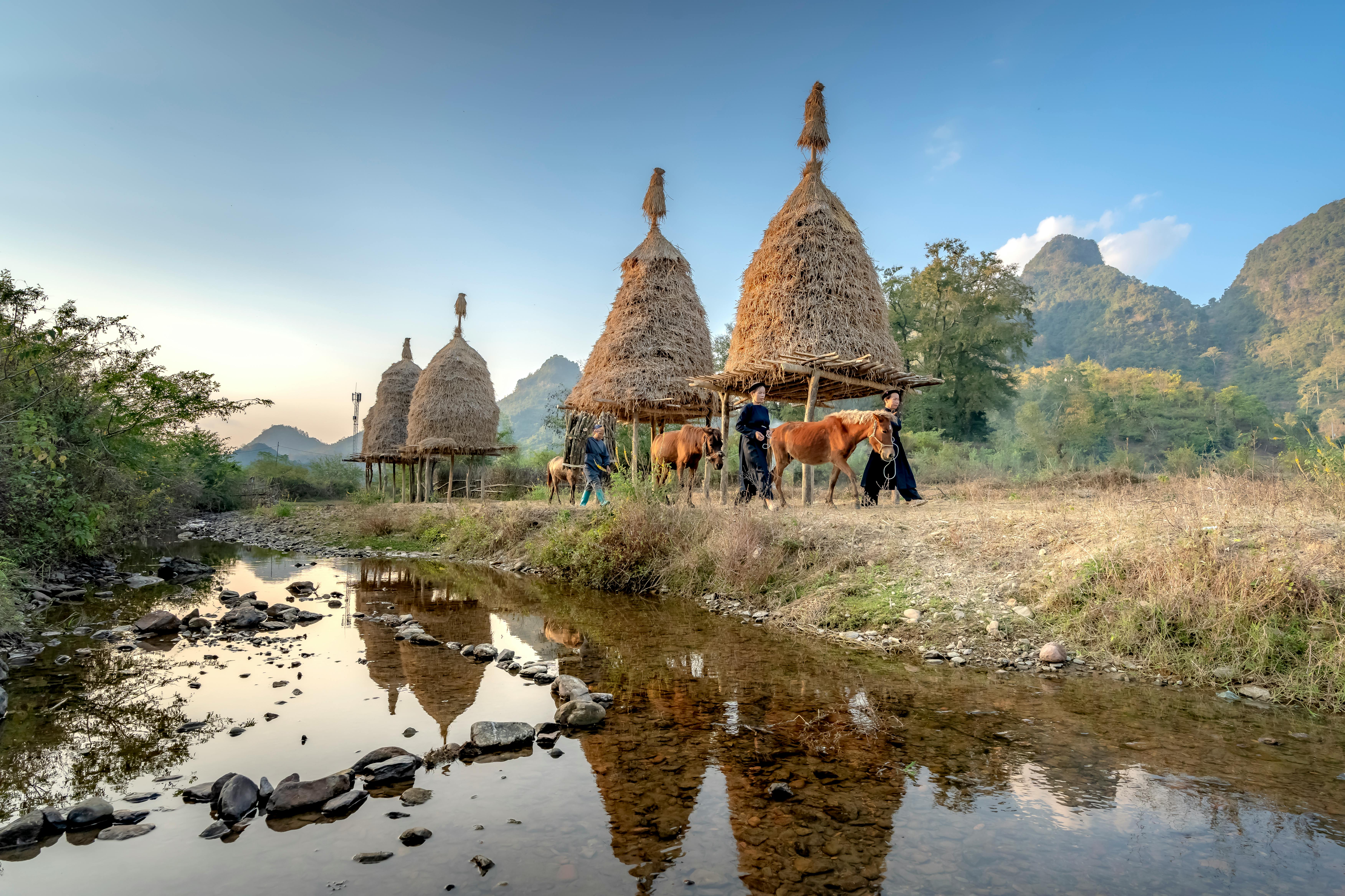 Traditional Rural Landscape with Haystacks and Horses · Free Stock Photo